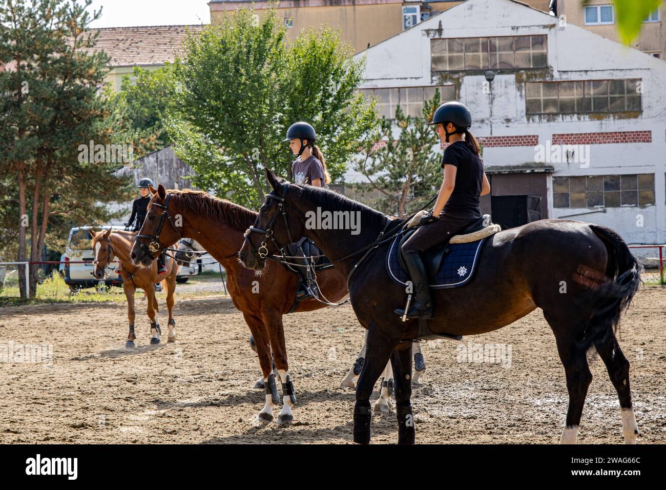 Sibiu City, Romania - 23 September 2023. children at horse riding Stock ...