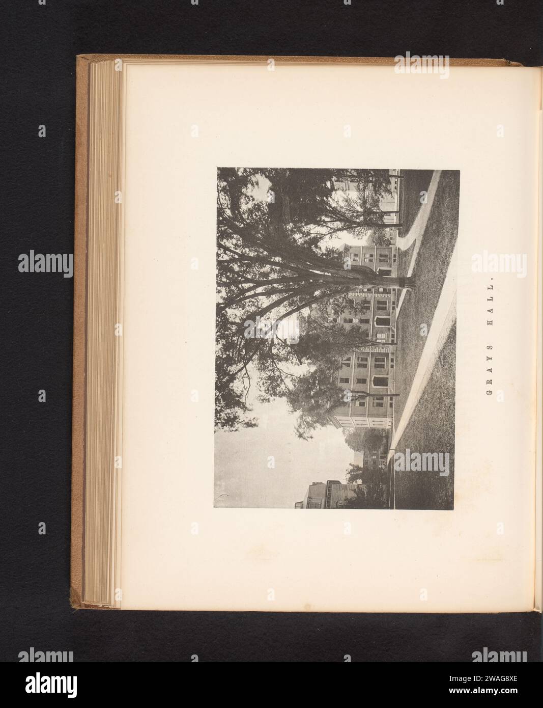 University grays hi-res stock photography and images - Alamy