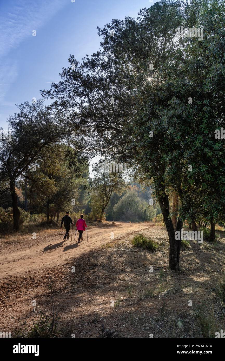 Barcelona, Spain - January 4, 2024- A couple enjoys a calm, healthy ...