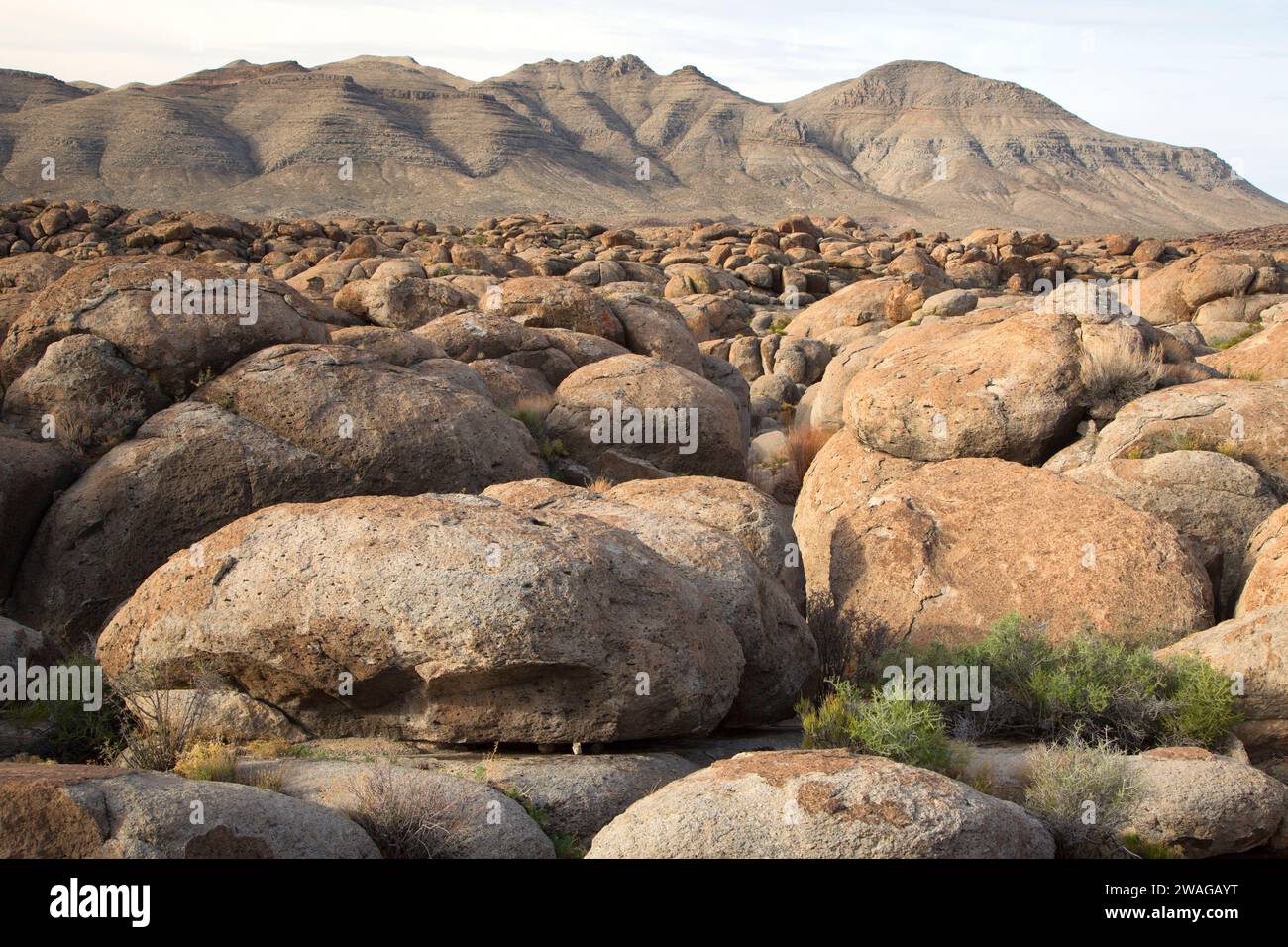 Boulders at Crystal Wash, Caliente District Bureau of Land Management ...