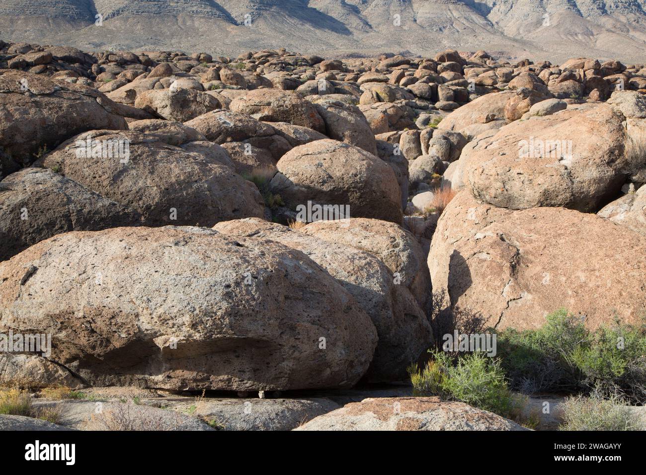 Boulders at Crystal Wash, Caliente District Bureau of Land Management ...