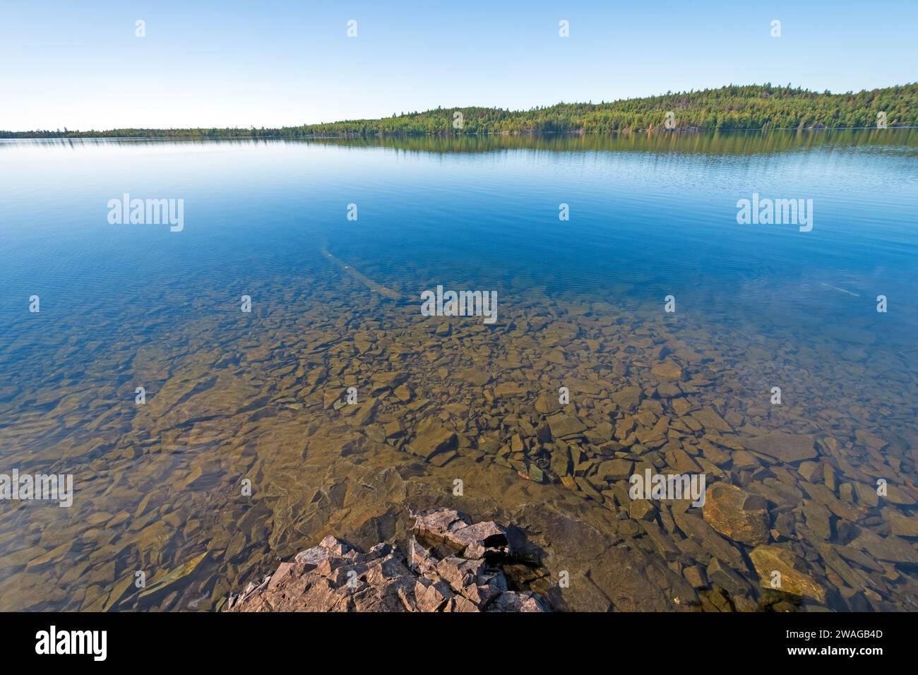 Clear Water on a Calm Lake in the North Woods on Kekekabic Lake in the ...
