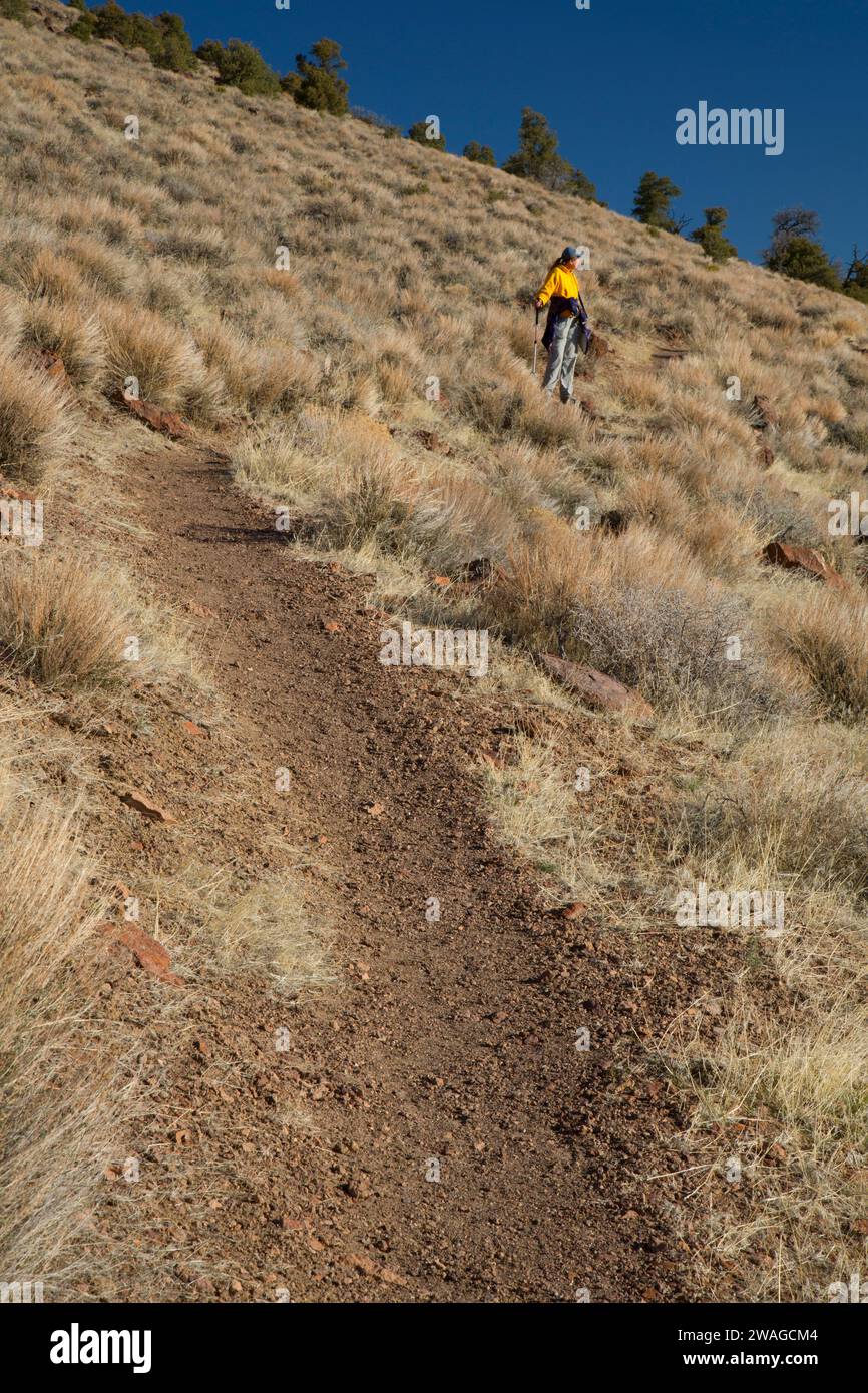 Trail to scenic viewpoint, Hickison Petroglyphs Recreation Area, Mount ...