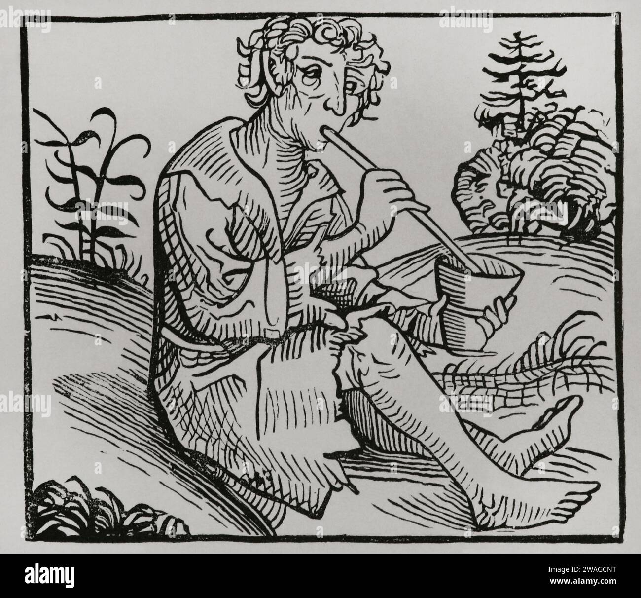 Monsters born from the Deluge. After wood engraving in the "Chronique ...