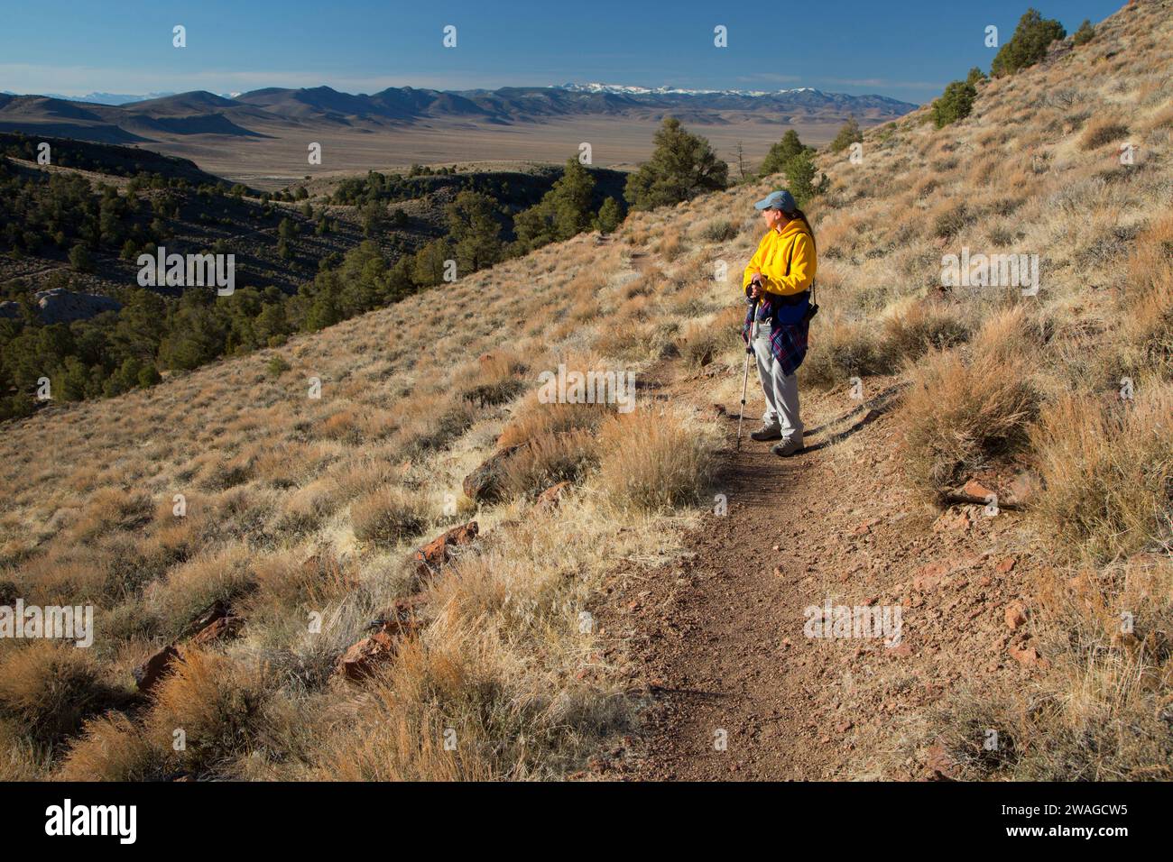 Trail to scenic viewpoint, Hickison Petroglyphs Recreation Area, Mount ...
