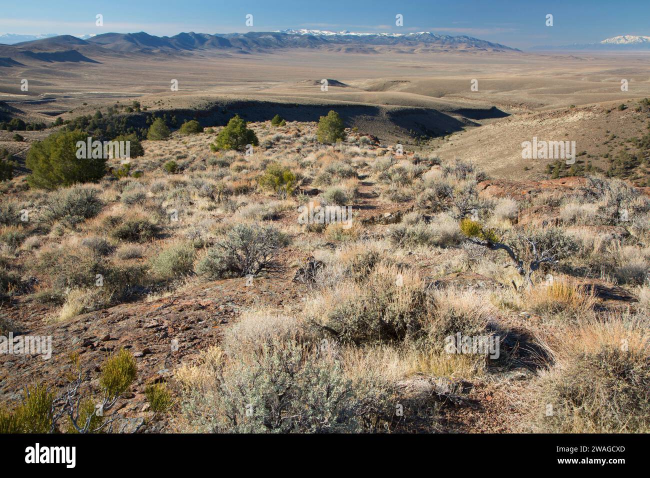 Scenic viewpoint view, Hickison Petroglyphs Recreation Area, Mount ...