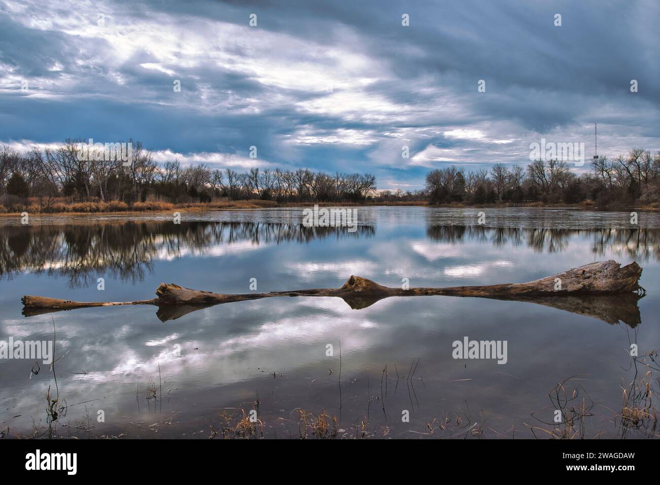 A fallen tree branch lays on the shore of a tranquil lake, the ...