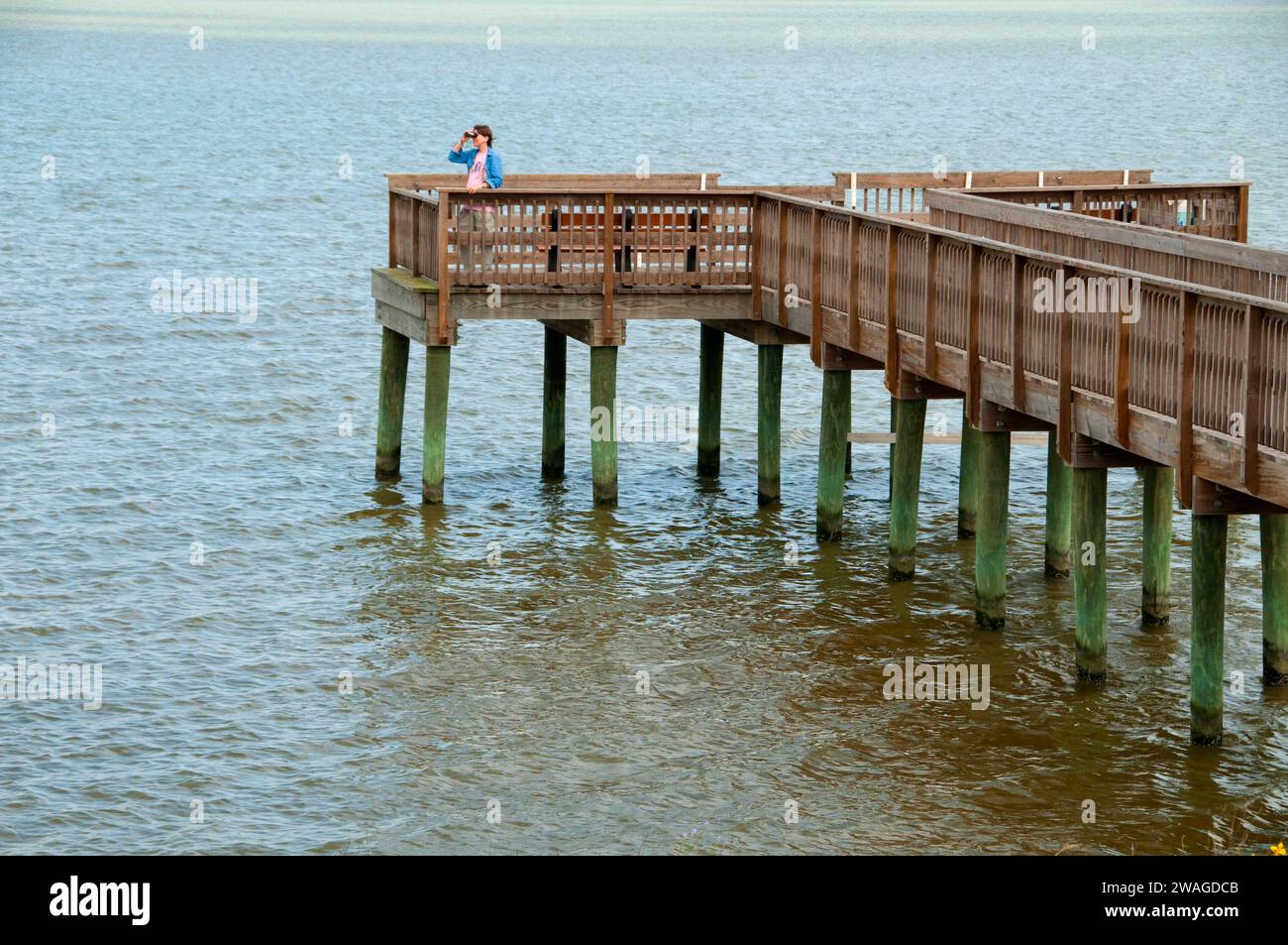 Fishing pier, Aransas National Wildlife Refuge, Texas Stock Photo - Alamy
