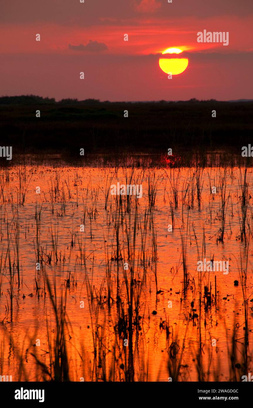 Dune wetland sunset, Padre Island National Seashore, Texas Stock Photo ...