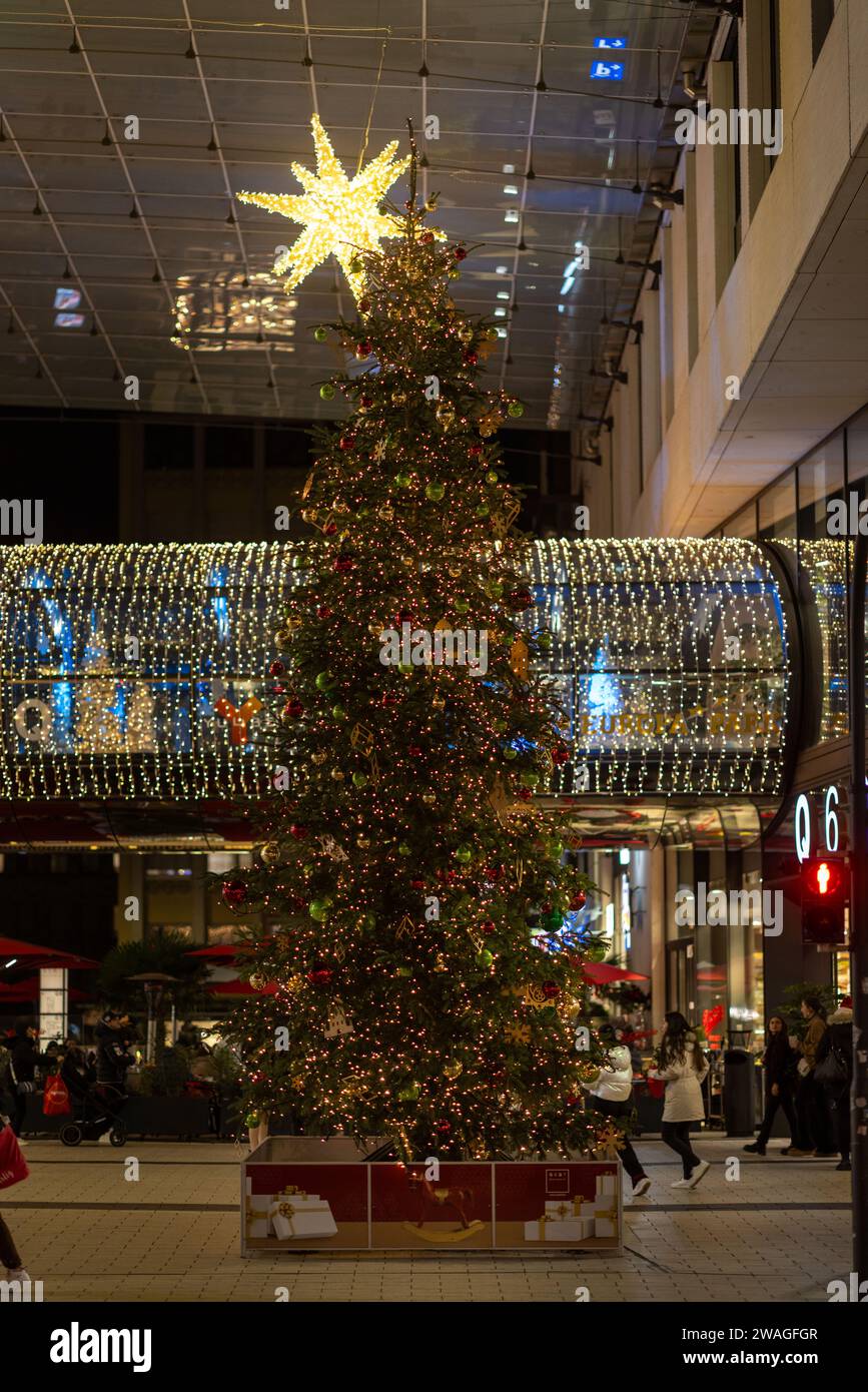 Historical building in Mannheim on a winter evening Stock Photo - Alamy
