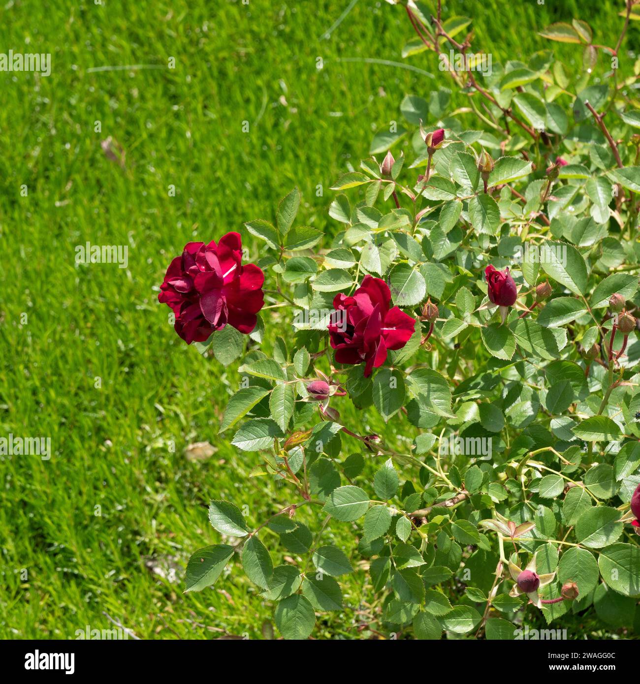 2023 04 hi-res stock photography and images - Alamy