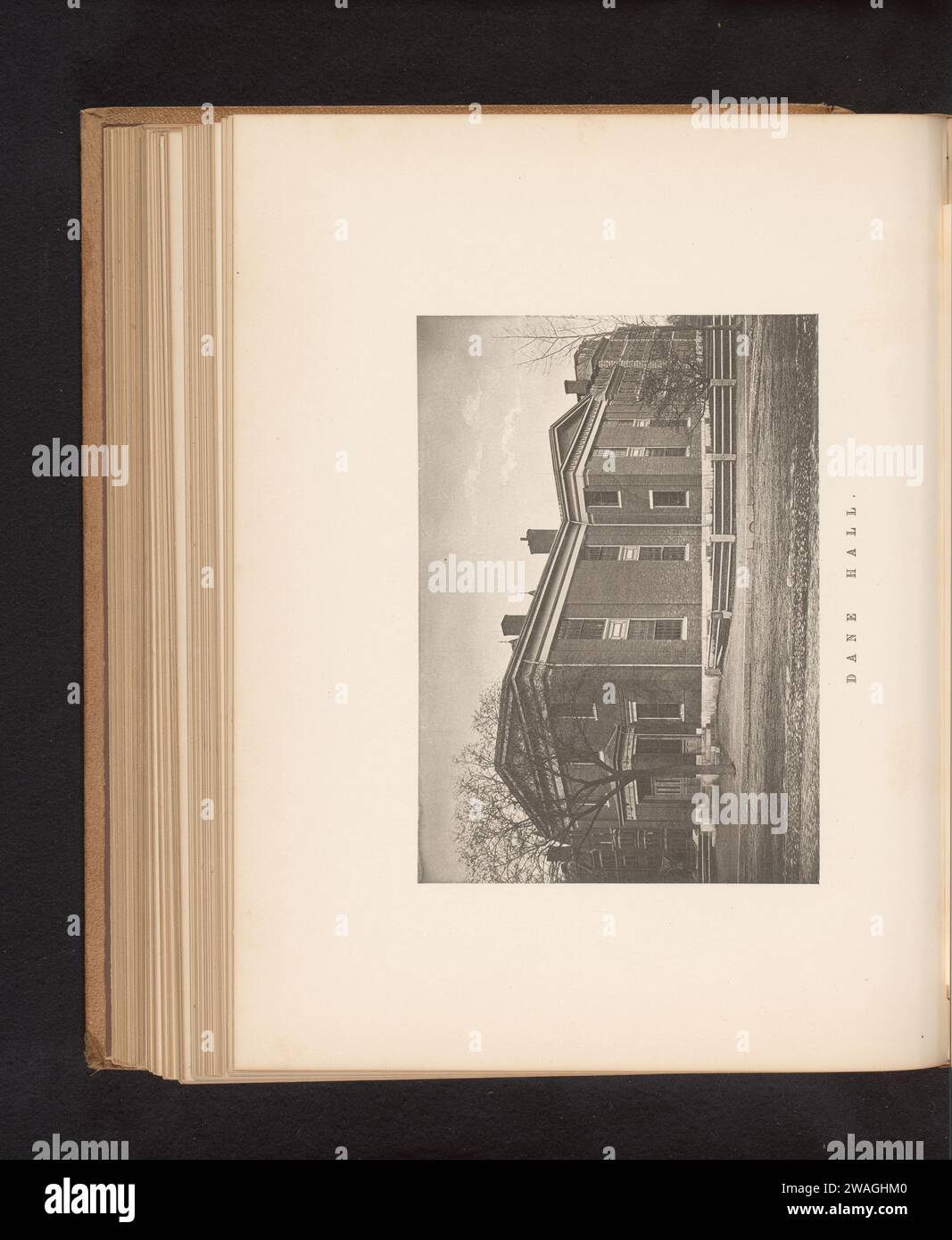 American university building harvard hi-res stock photography and ...