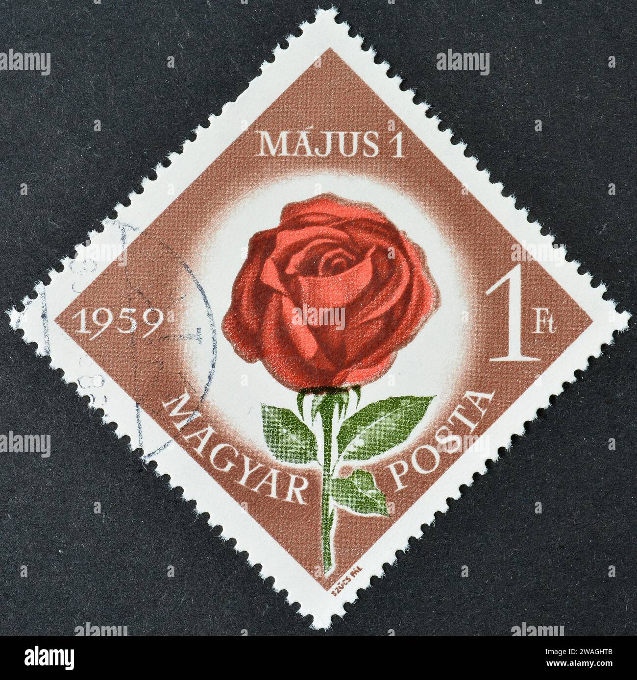Cancelled postage stamp printed by Hungary, that shows Rose flower ...