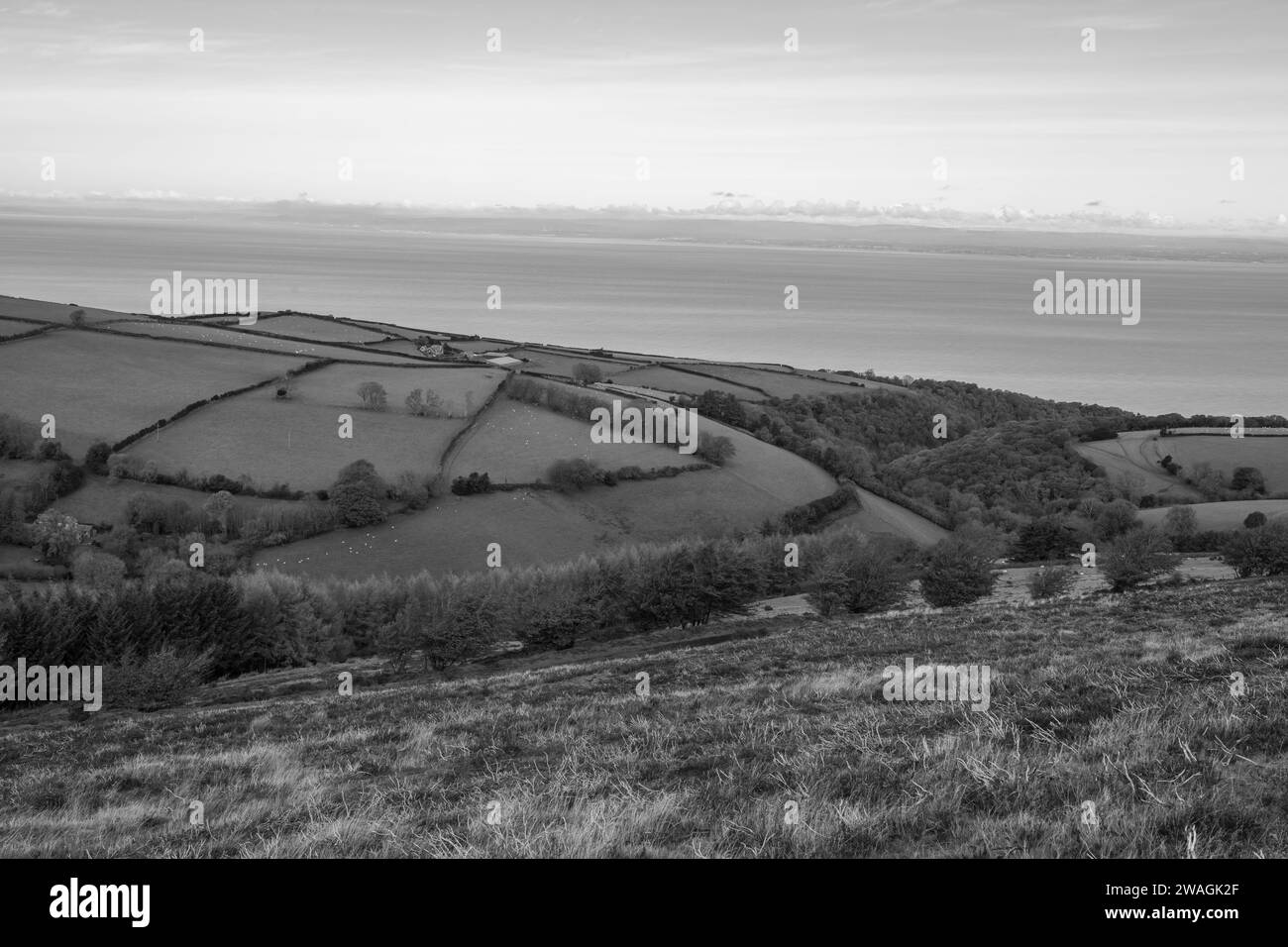 View of Porlock Common at the top of Porlock Hill in Exmoor Natioanl ...