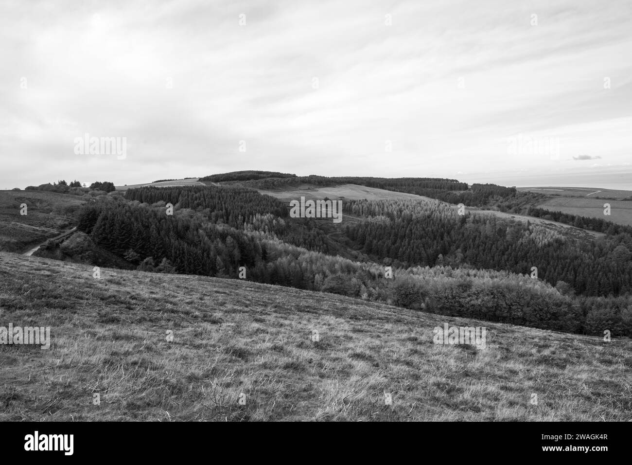 View of Porlock Common at the top of Porlock Hill in Exmoor Natioanl ...