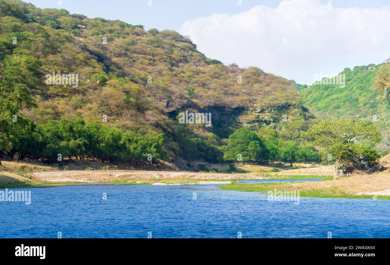 Wadi Darbat (The Darbat Valley) is the most beautiful and scenic spot ...