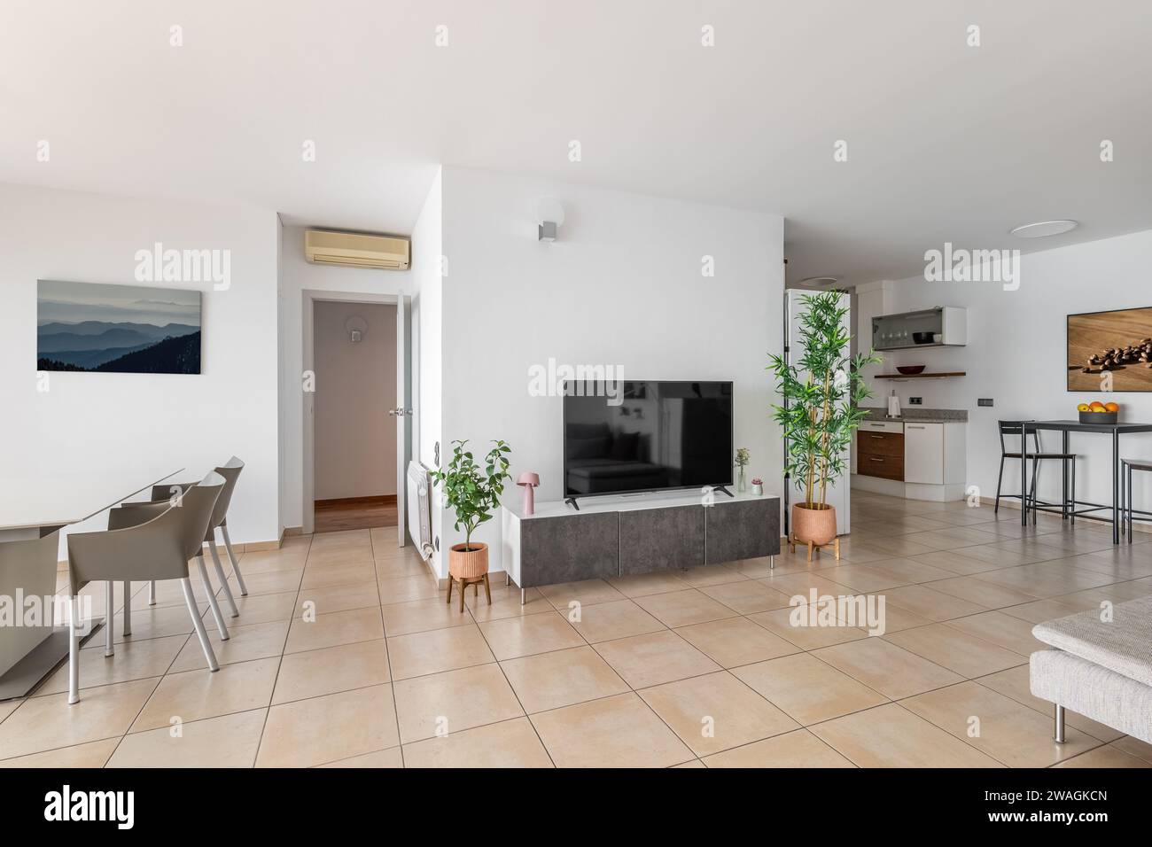 Modern TV monitor on stand and houseplants by white wall Stock Photo ... Modern TV monitor on stand and houseplants by white wall Stock Photo ...