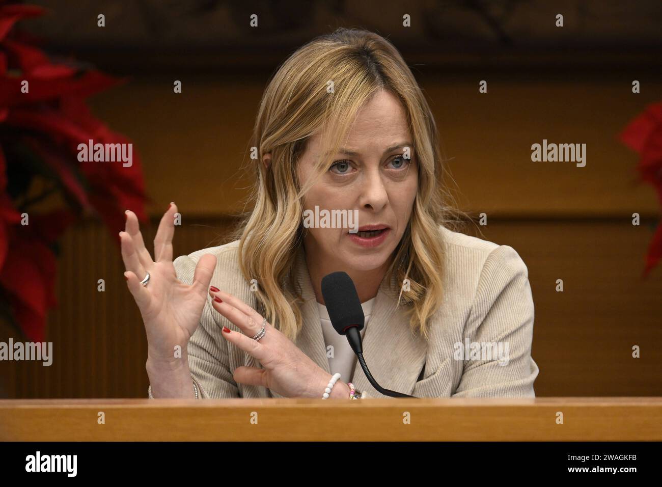 Aula della camera hi-res stock photography and images - Alamy