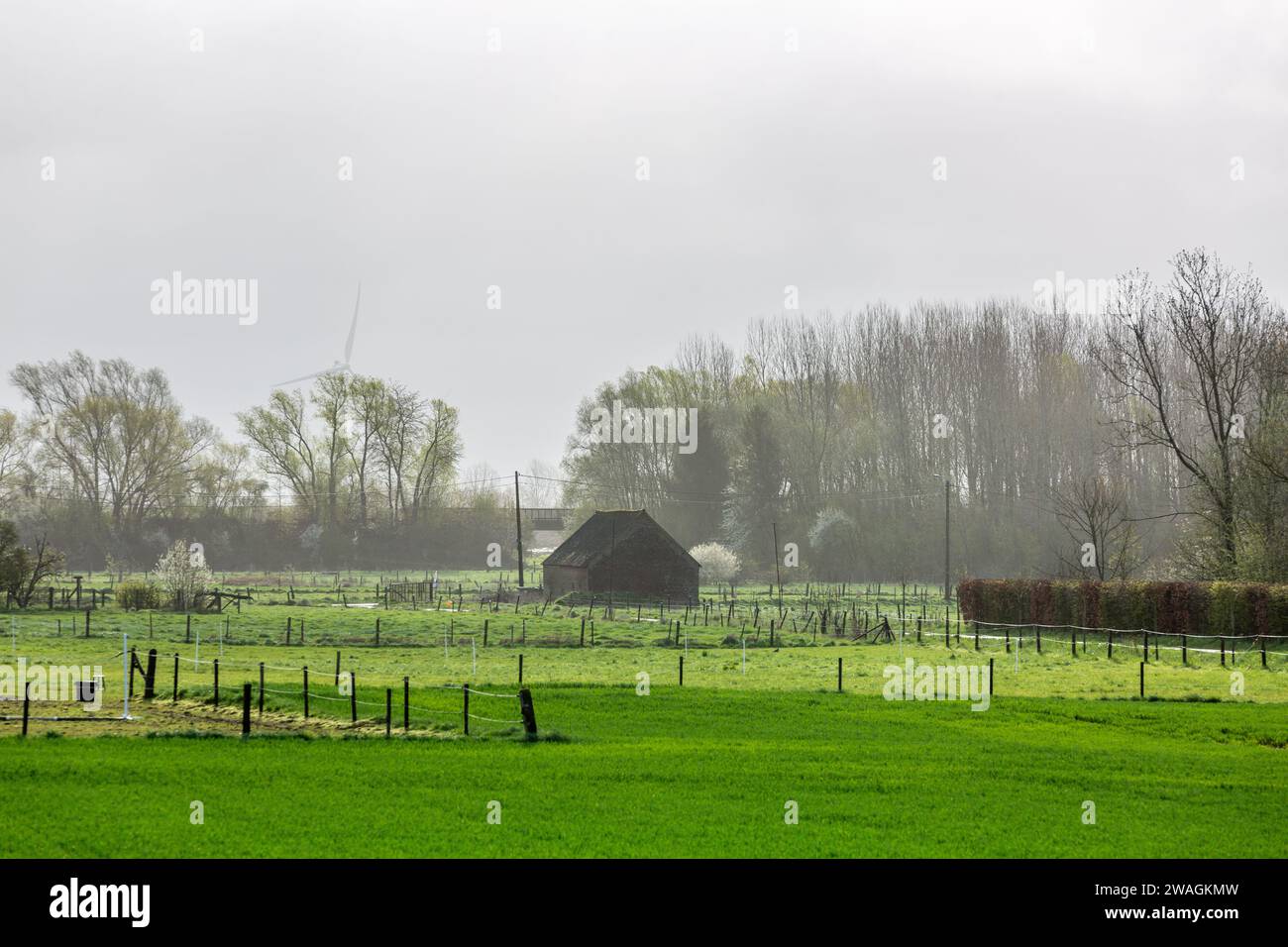 Spring rural landscape: meadows and isolated shelter under intense ...
