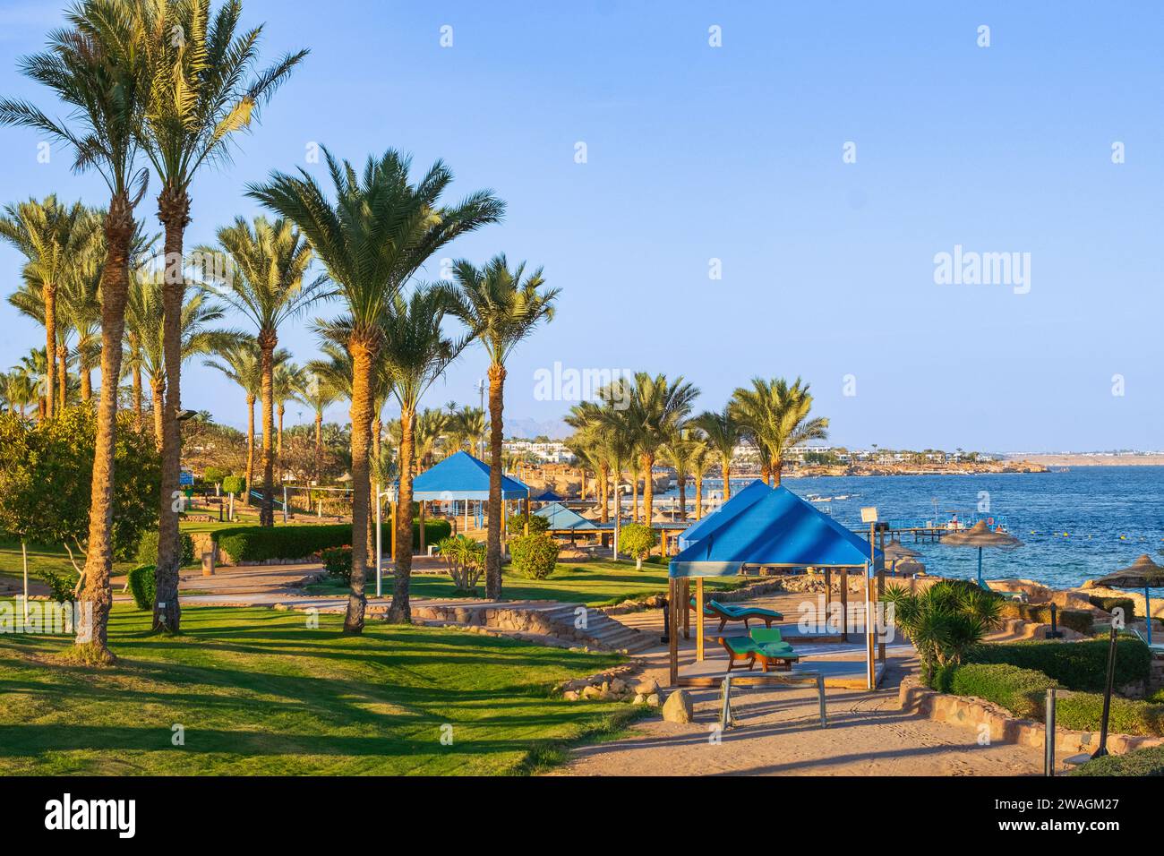 Sharm El sheik Egypt. View of the beach and palm tress on a sunny day ...