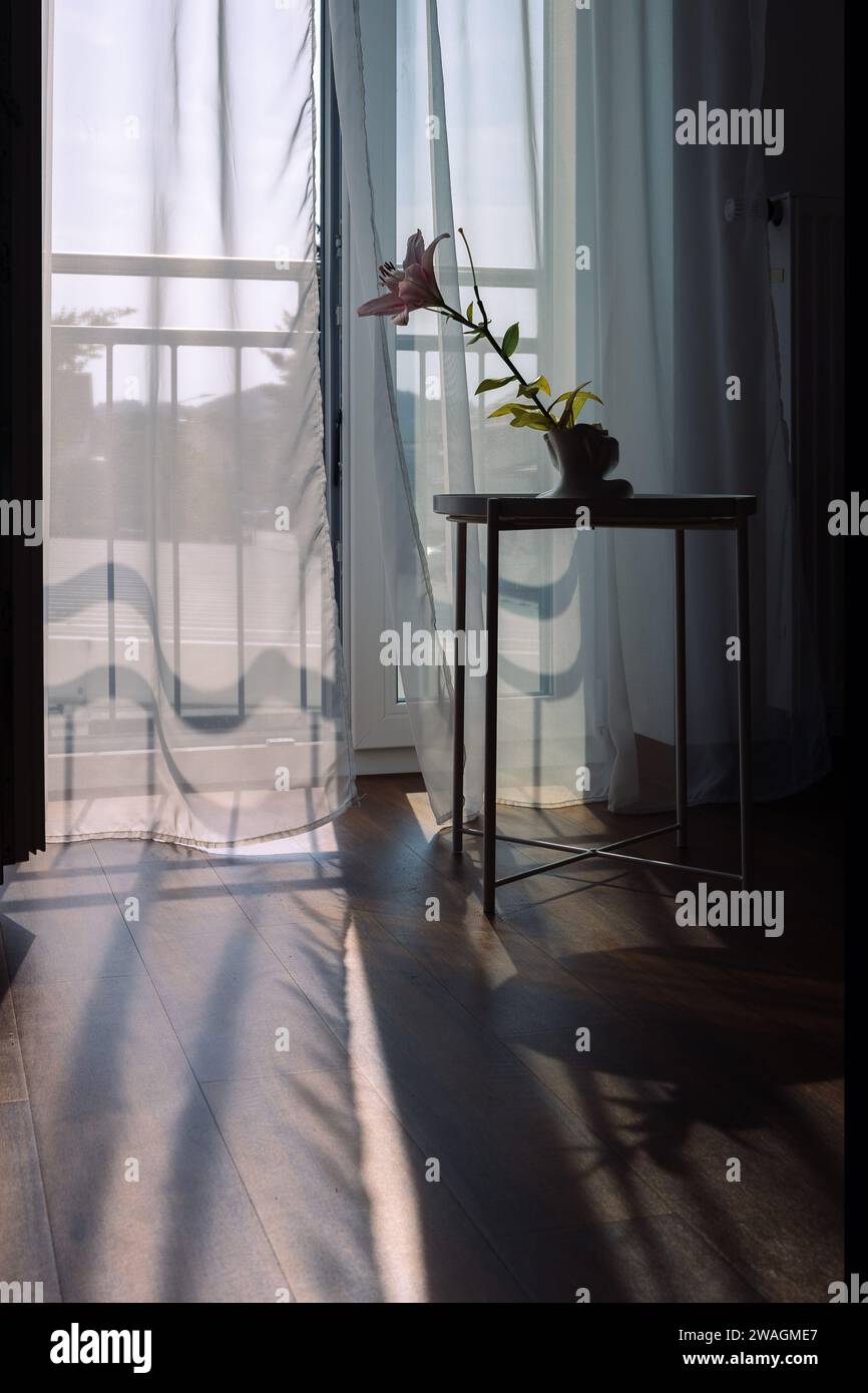 Curtain blowing open in room hi-res stock photography and images - Alamy