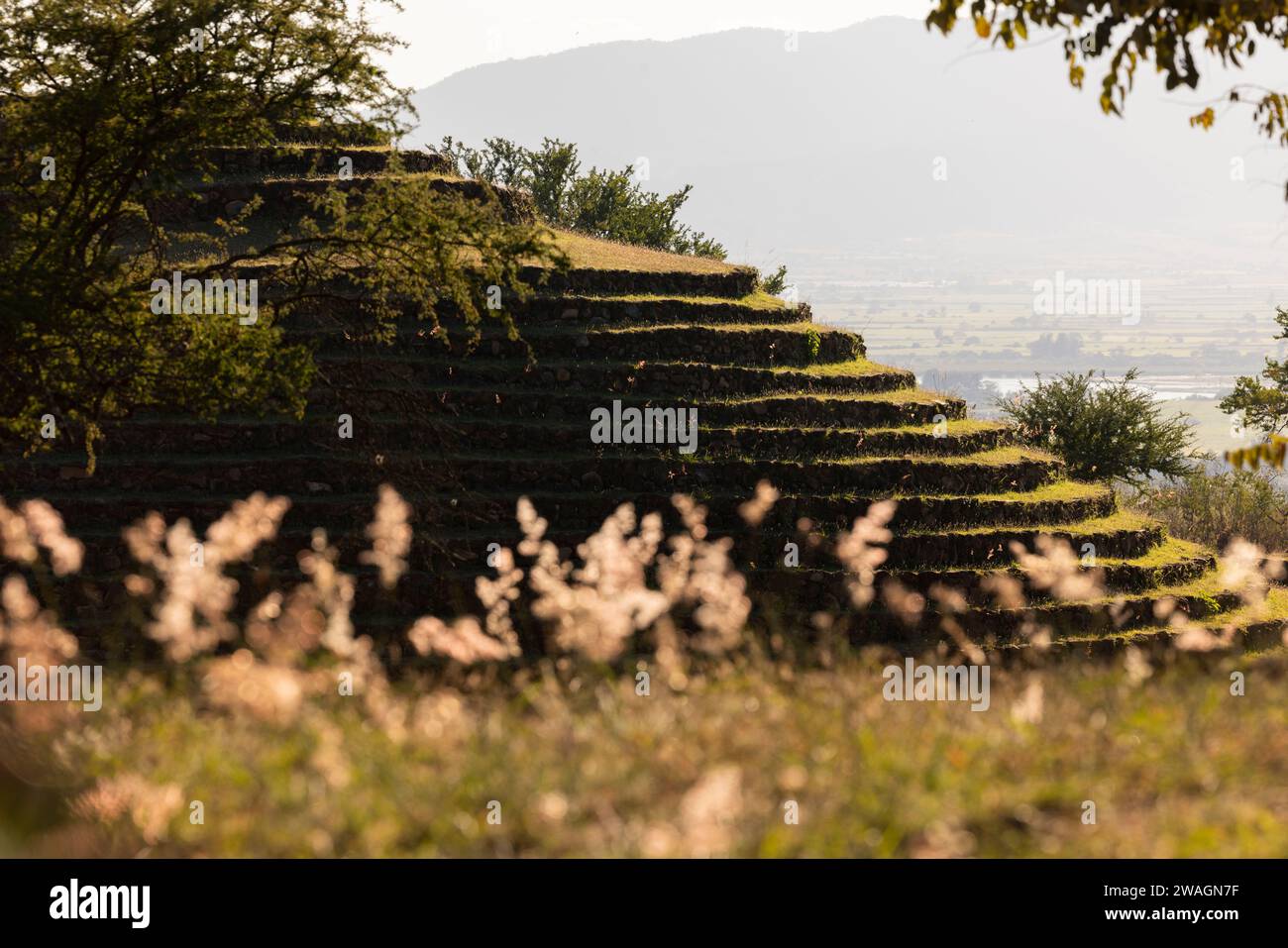 Guachimontones pyramids hi-res stock photography and images - Alamy