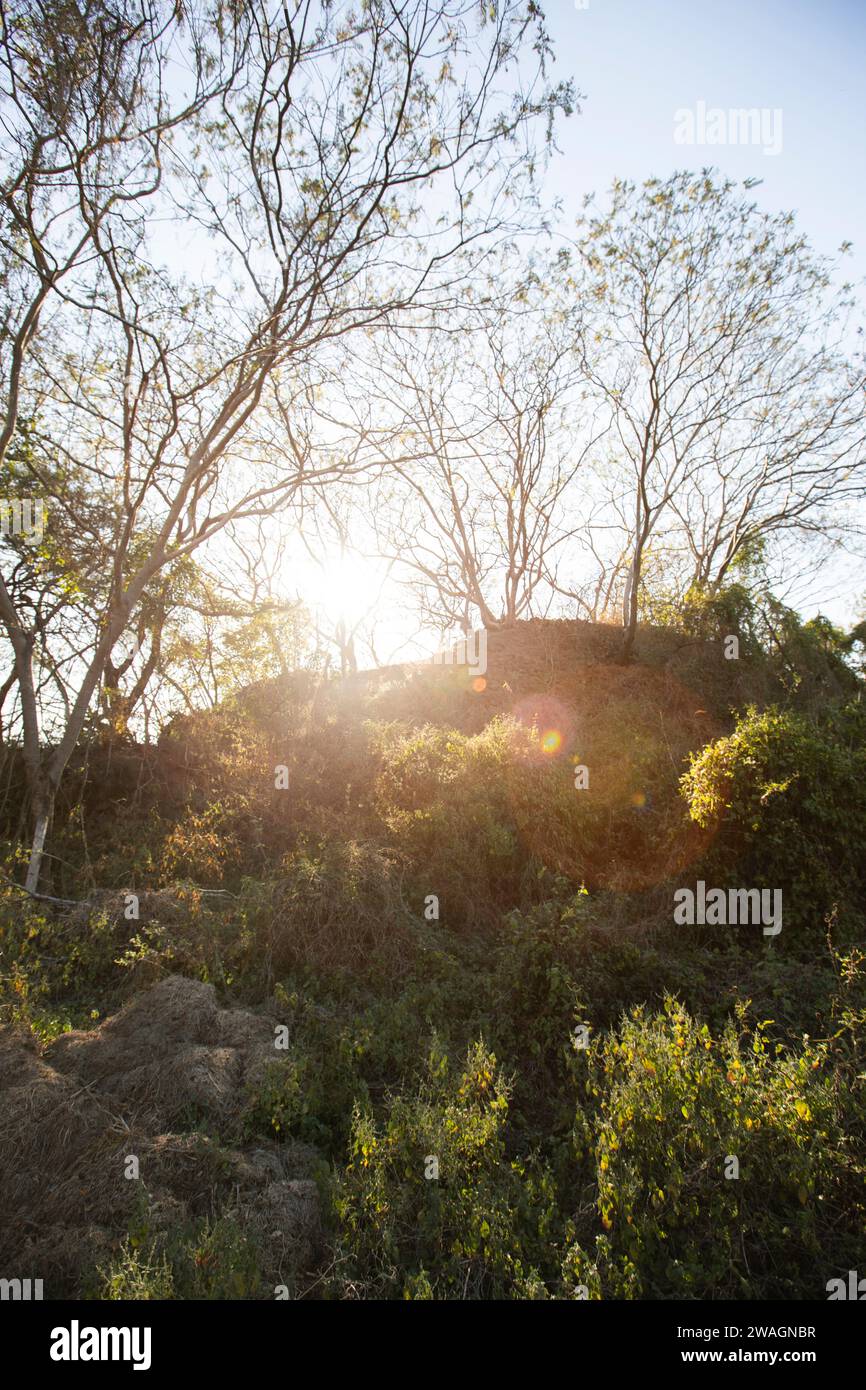 Guachimontones pyramids hi-res stock photography and images - Alamy