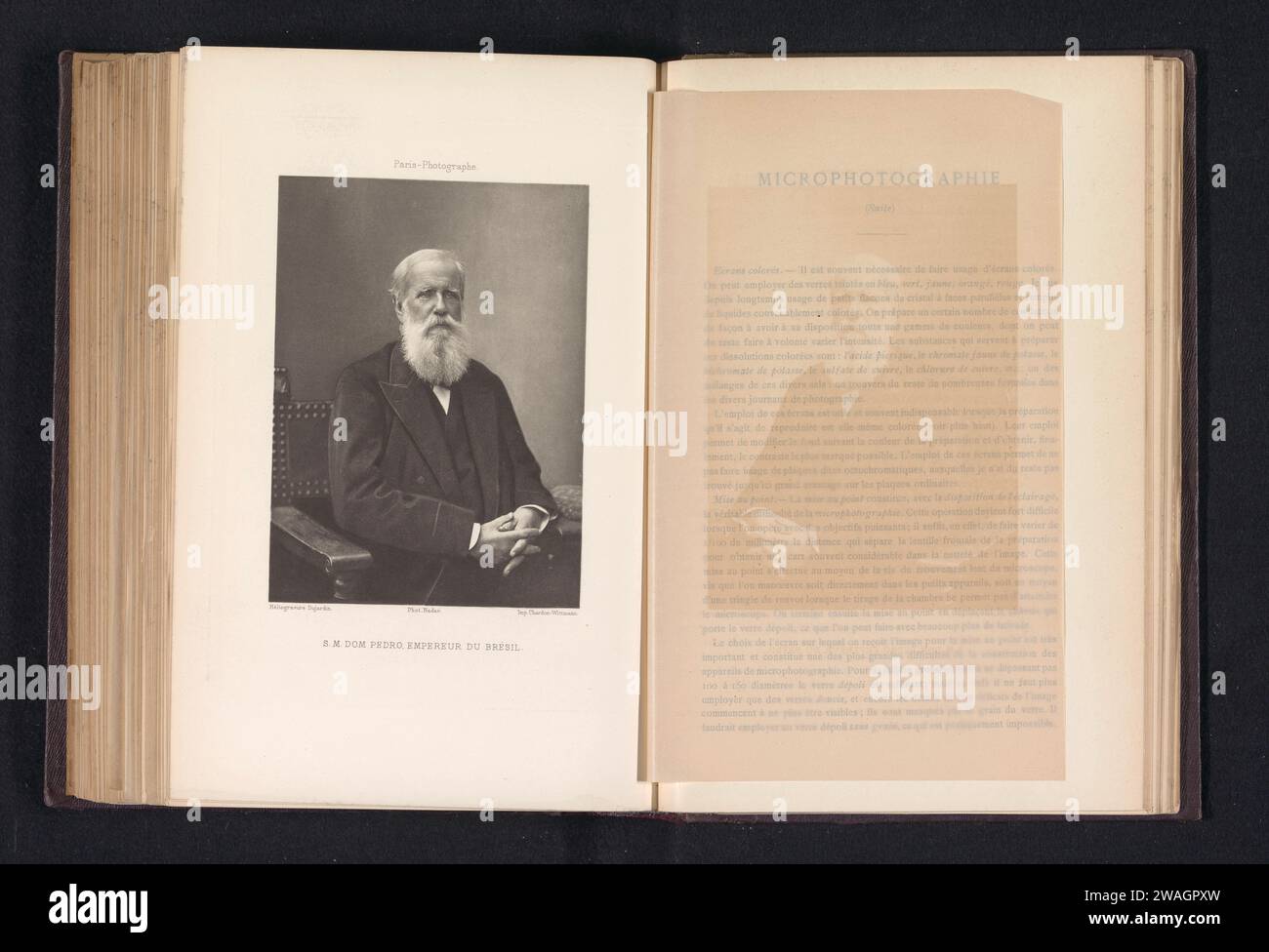 Portrait of Emperor Peter II of Brazil, Félix Nadar, c. 1881 - In or ...