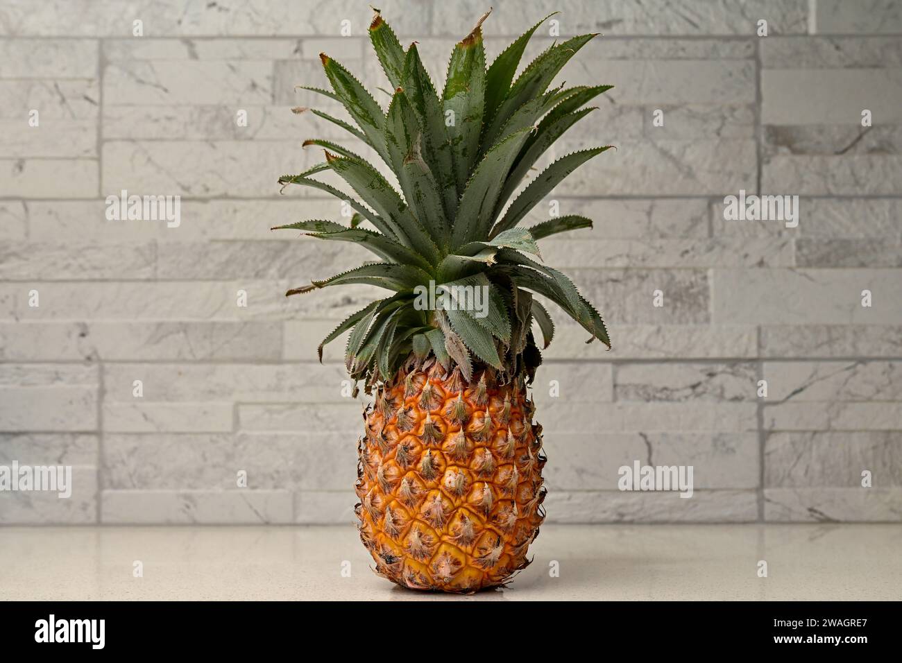 Whole Pineapple Standing Upright On Restaurant Counter, Bokeh ...
