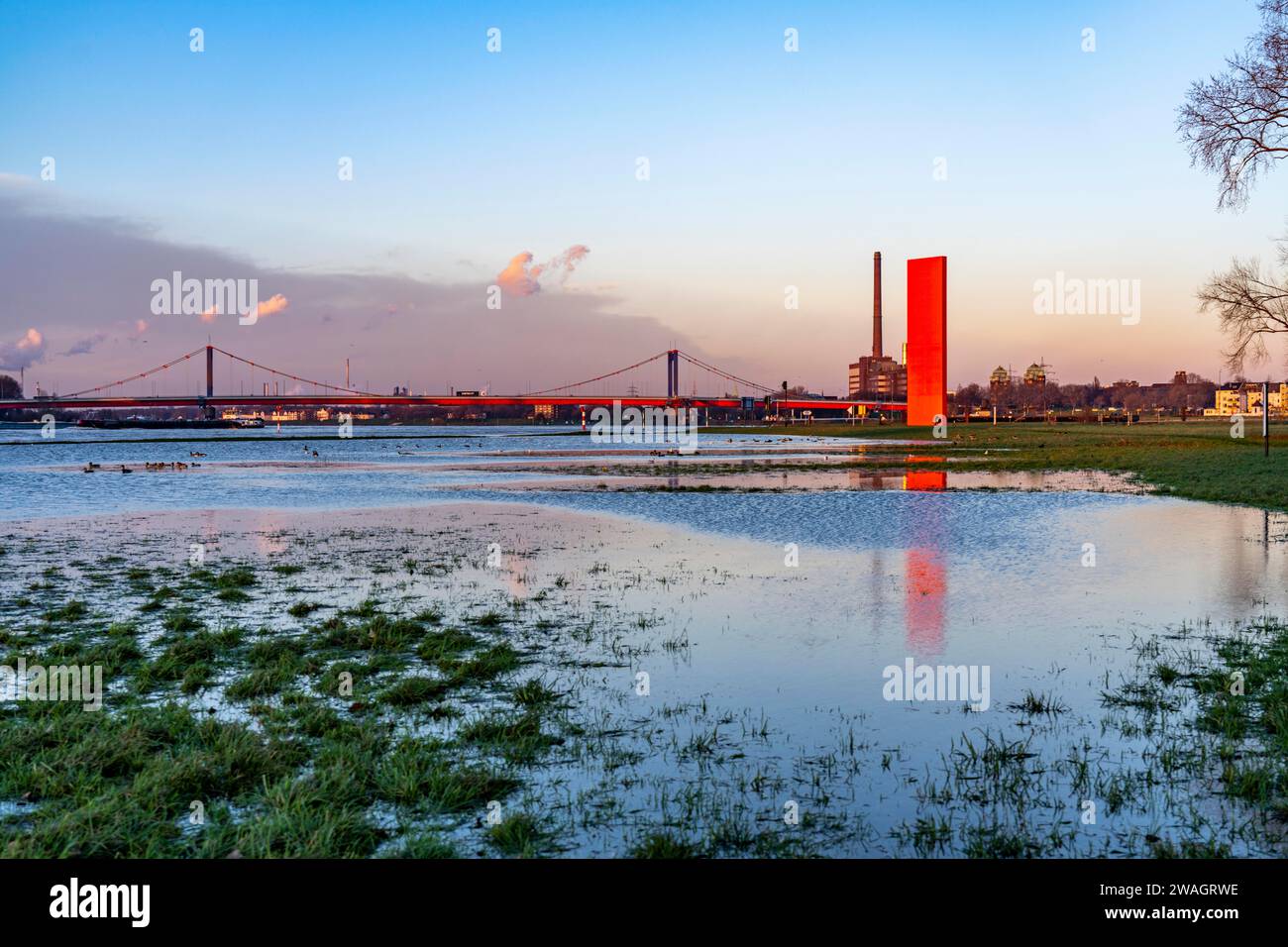Rhine floods, Duisburg-Kaßlerfeld, floods, behind the Friedrich-Ebert ...