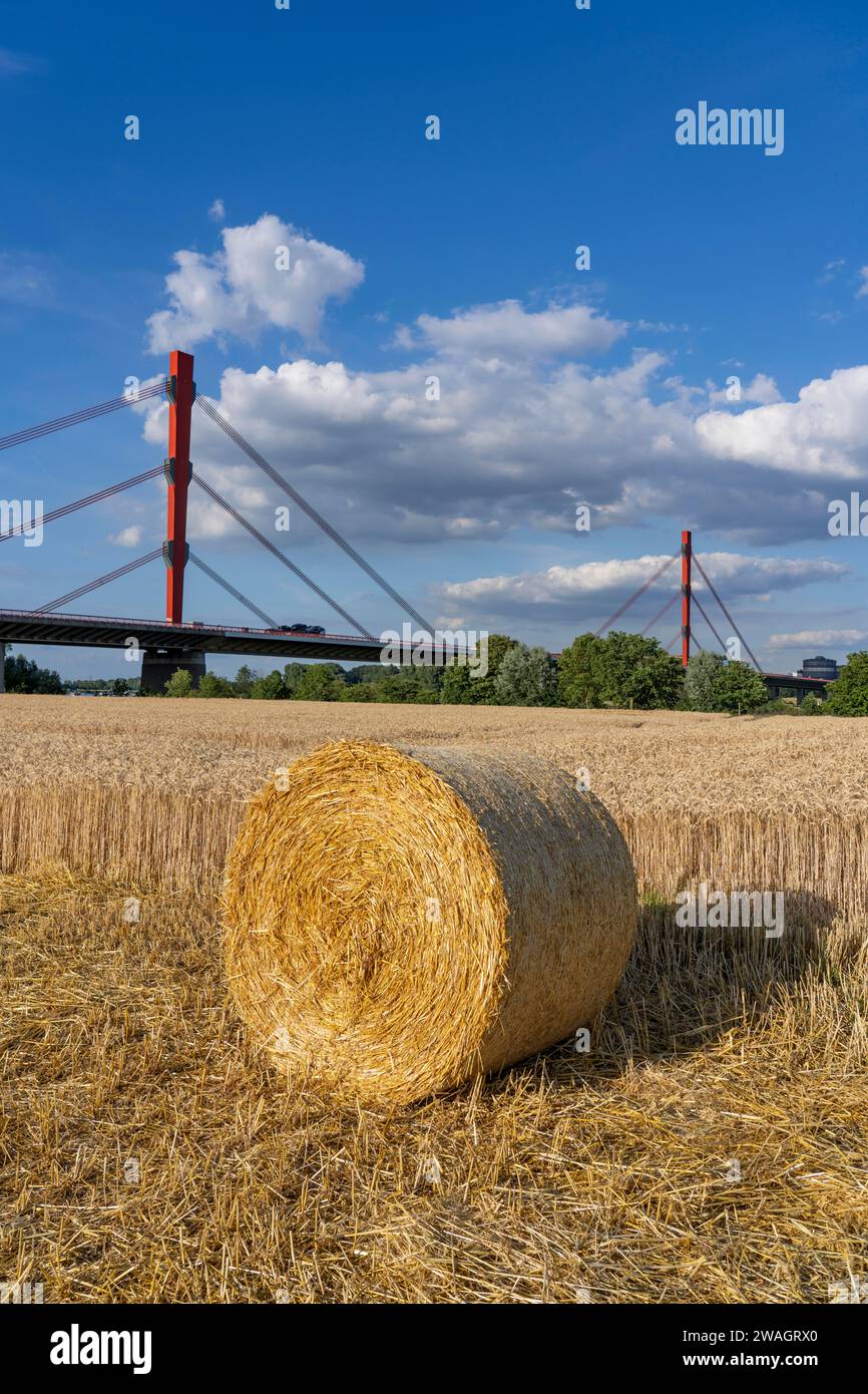 Grain field, harvested, straw bales, near Duisburg-Baerl, behind the ...