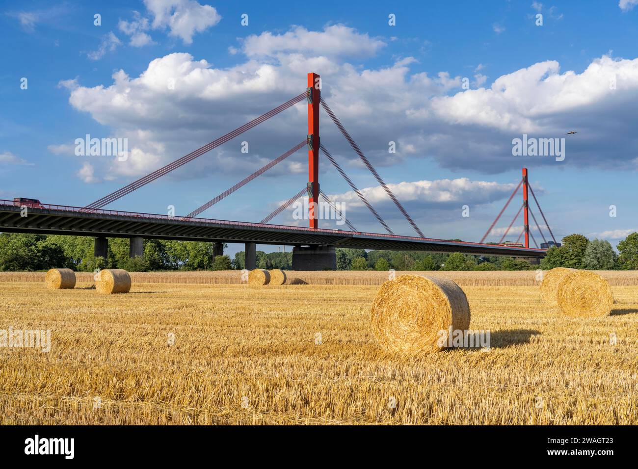 Grain field, harvested, straw bales, near Duisburg-Baerl, behind the ...