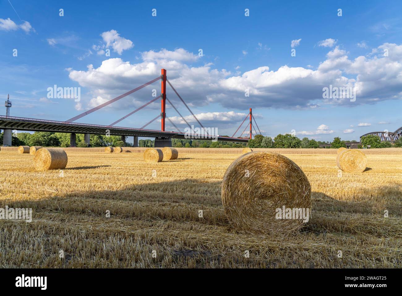 Grain field, harvested, straw bales, near Duisburg-Baerl, behind the ...