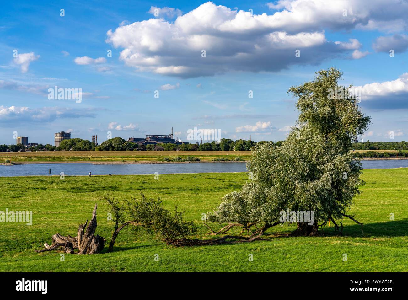 Rhine meadows near Duisburg-Baerl, on the other side of the Rhine the ...