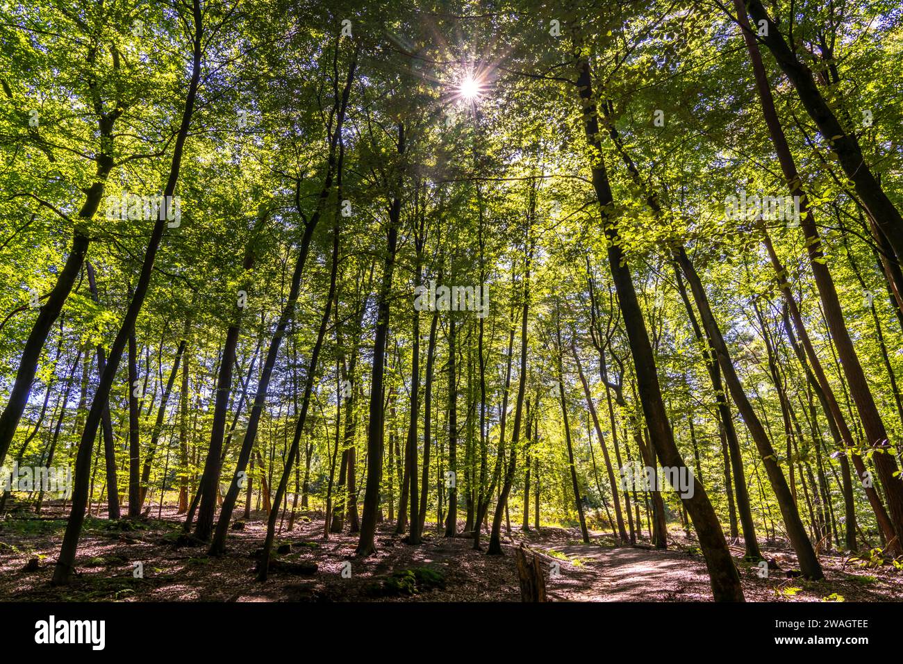 Die haard hi-res stock photography and images - Alamy