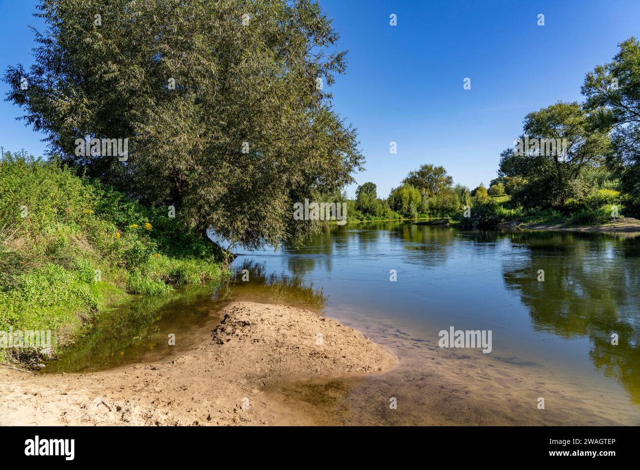 The Lippe floodplains near Olfen, nature reserve along the river, NRW ...