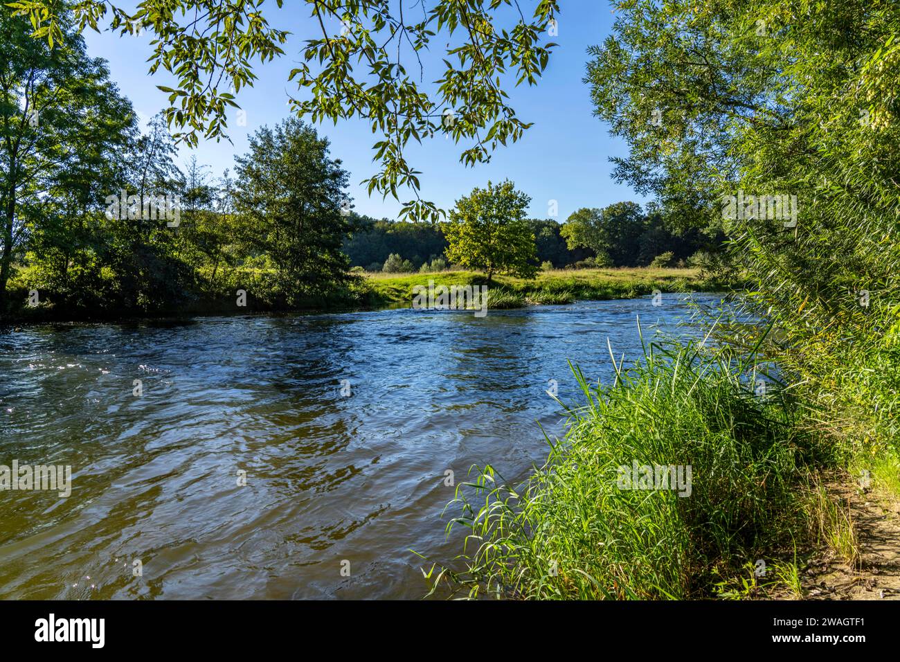 The Lippe floodplains near Olfen, nature reserve along the river, NRW ...
