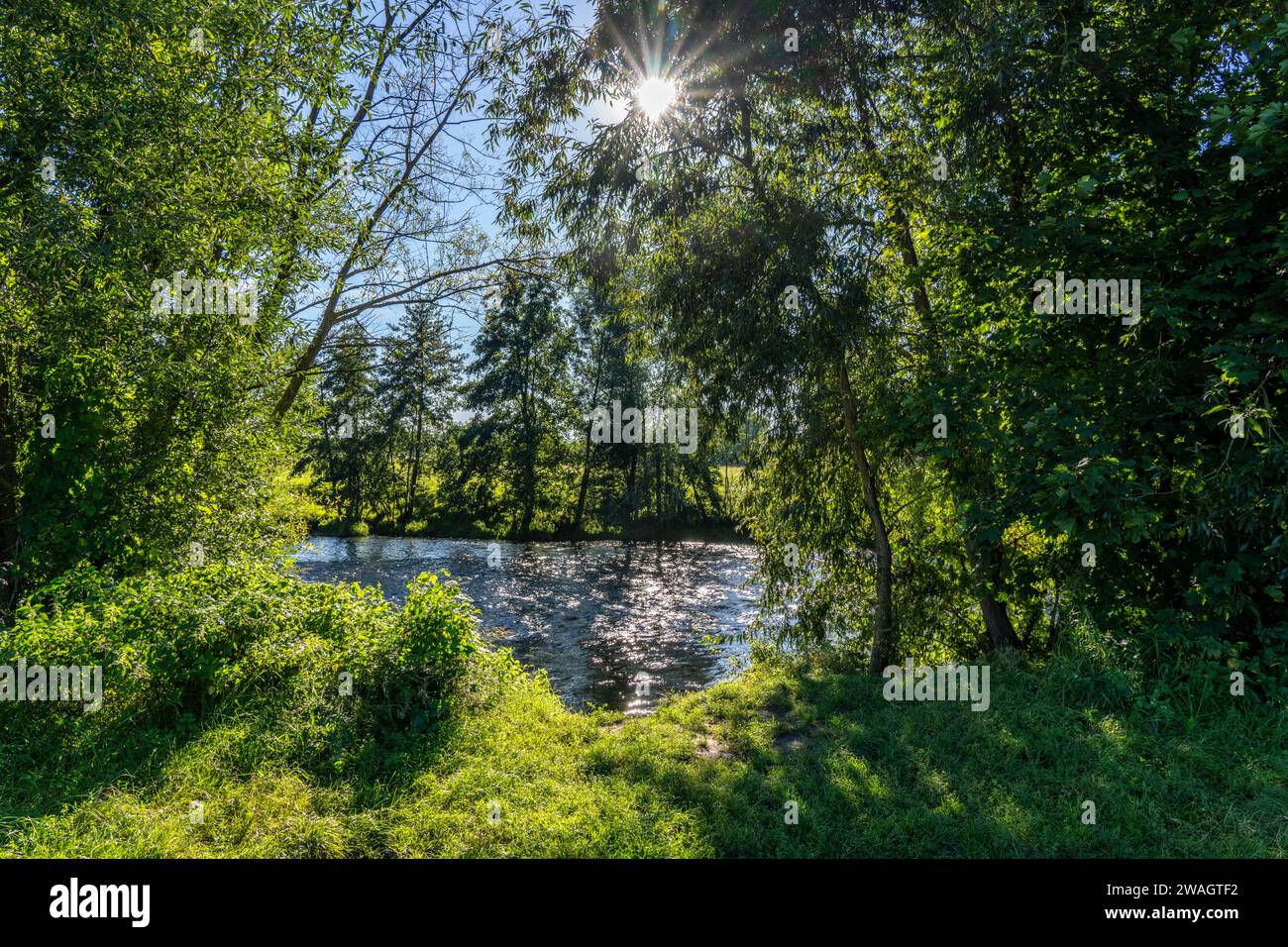 The Lippe floodplains near Olfen, nature reserve along the river, NRW ...