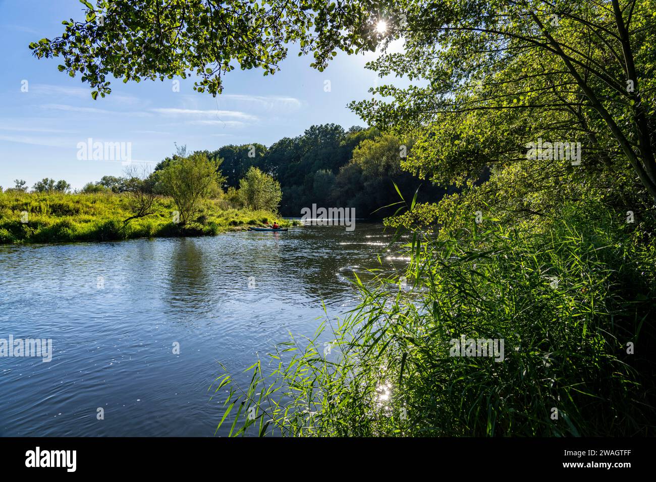 The Lippe floodplains near Olfen, nature reserve along the river, NRW ...