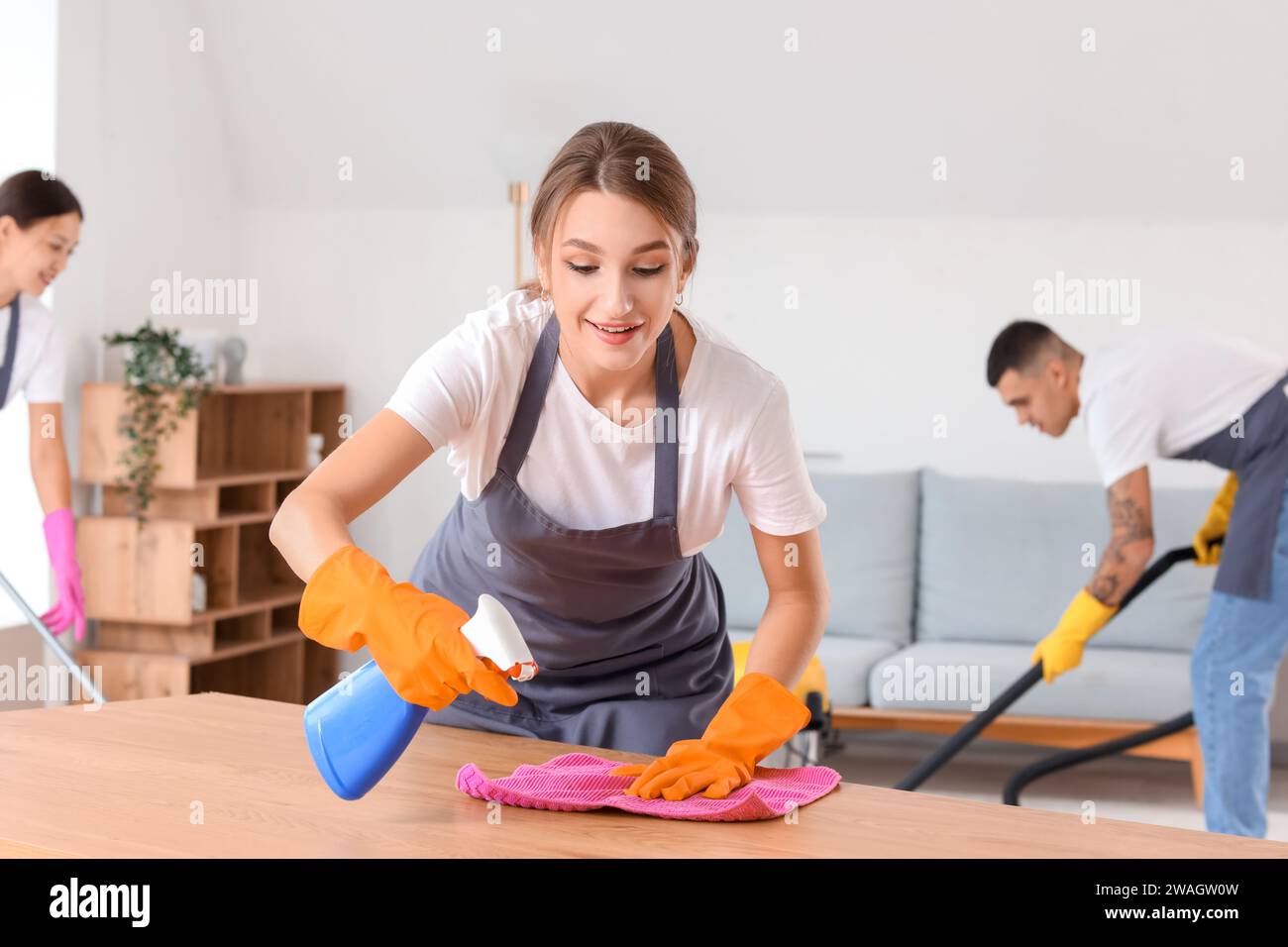 Female janitor cleaning table in room Stock Photo - Alamy