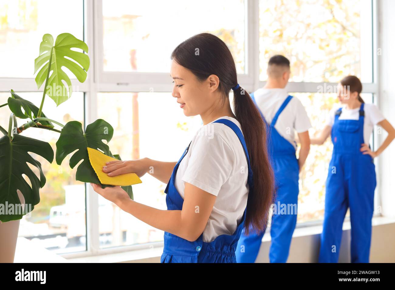 Female asian janitor detergent hi-res stock photography and images - Alamy