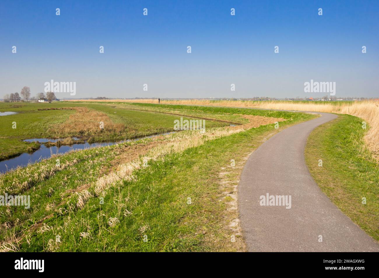 Bicycle path in the nature area Purmerland, Netherlands Stock Photo - Alamy