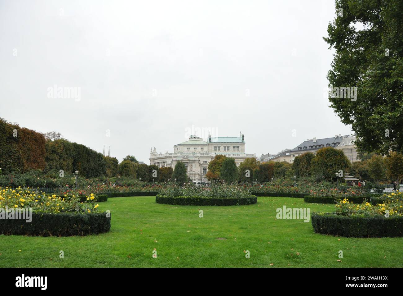 Park with yellow roses and flower islands in the Volksgarten in Vienna ...
