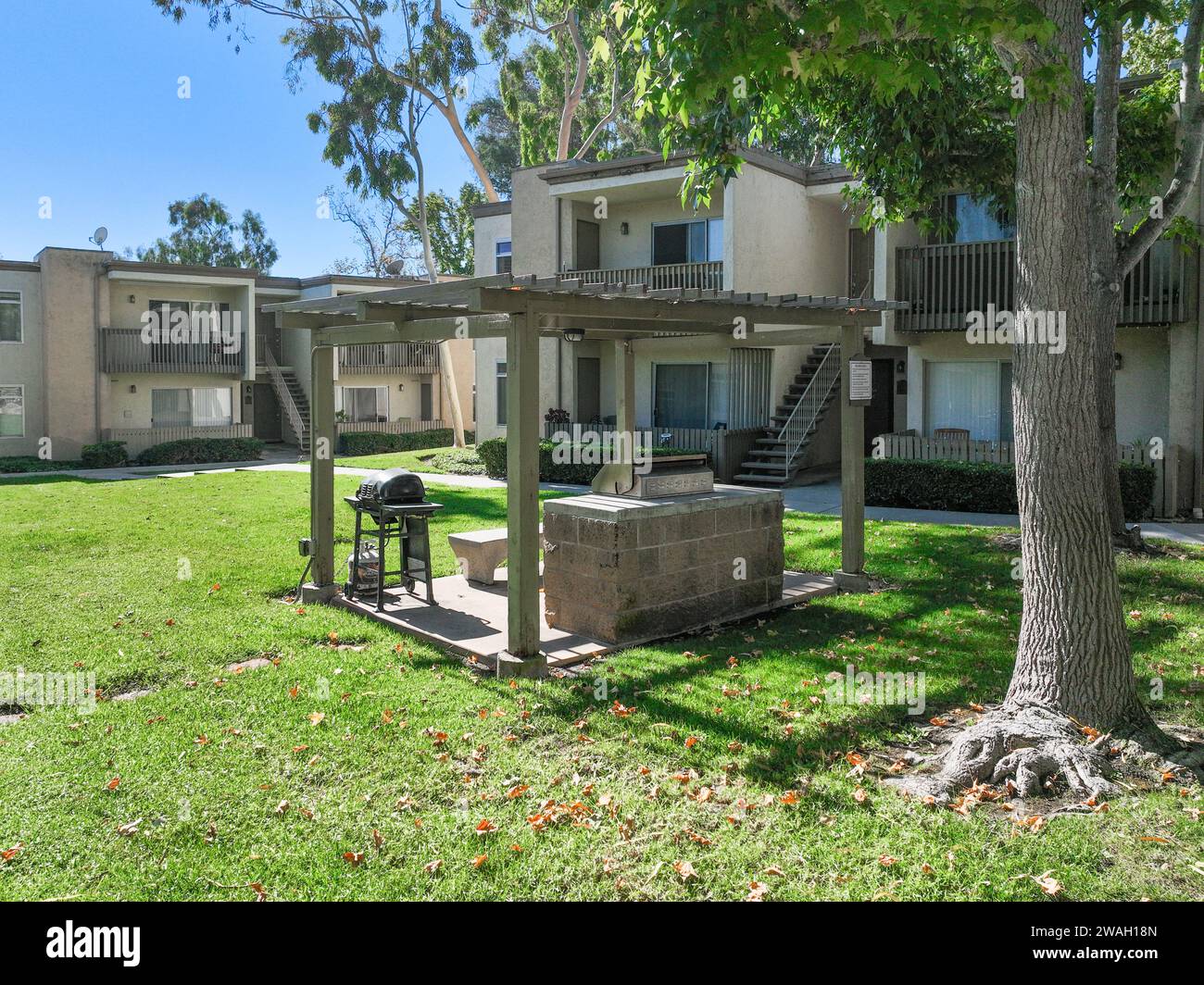 Garden and lawn along the walk path through the typical apartment ...