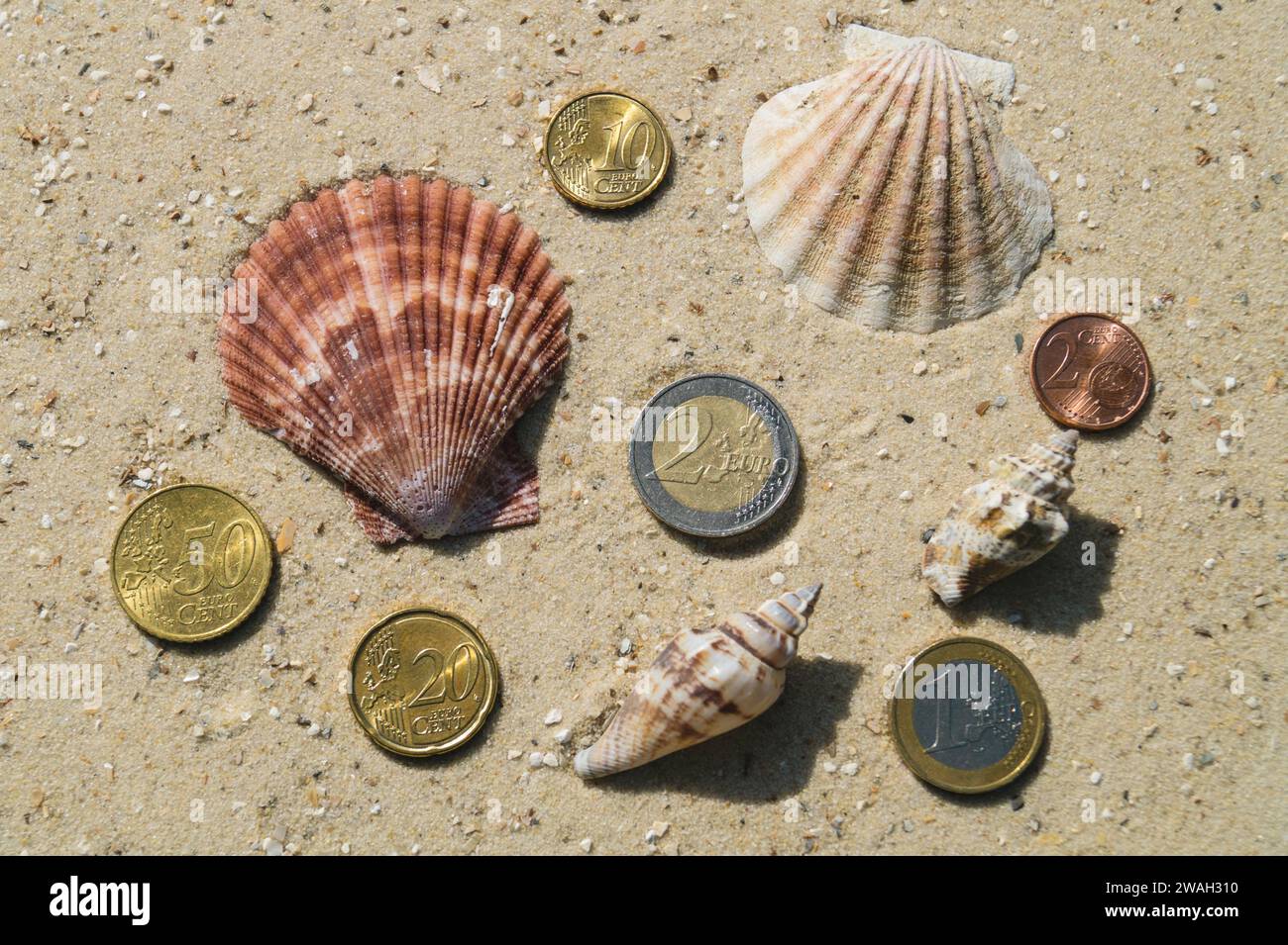 money and shells in the sand, symbol image travel expenses Stock Photo ...