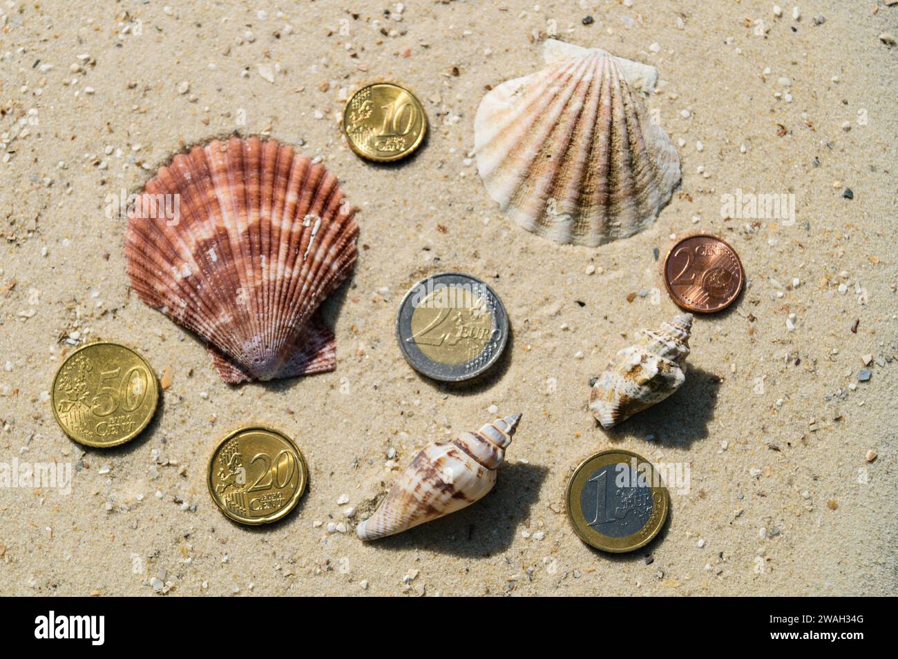 money and shells in the sand, symbol image travel expenses Stock Photo ...