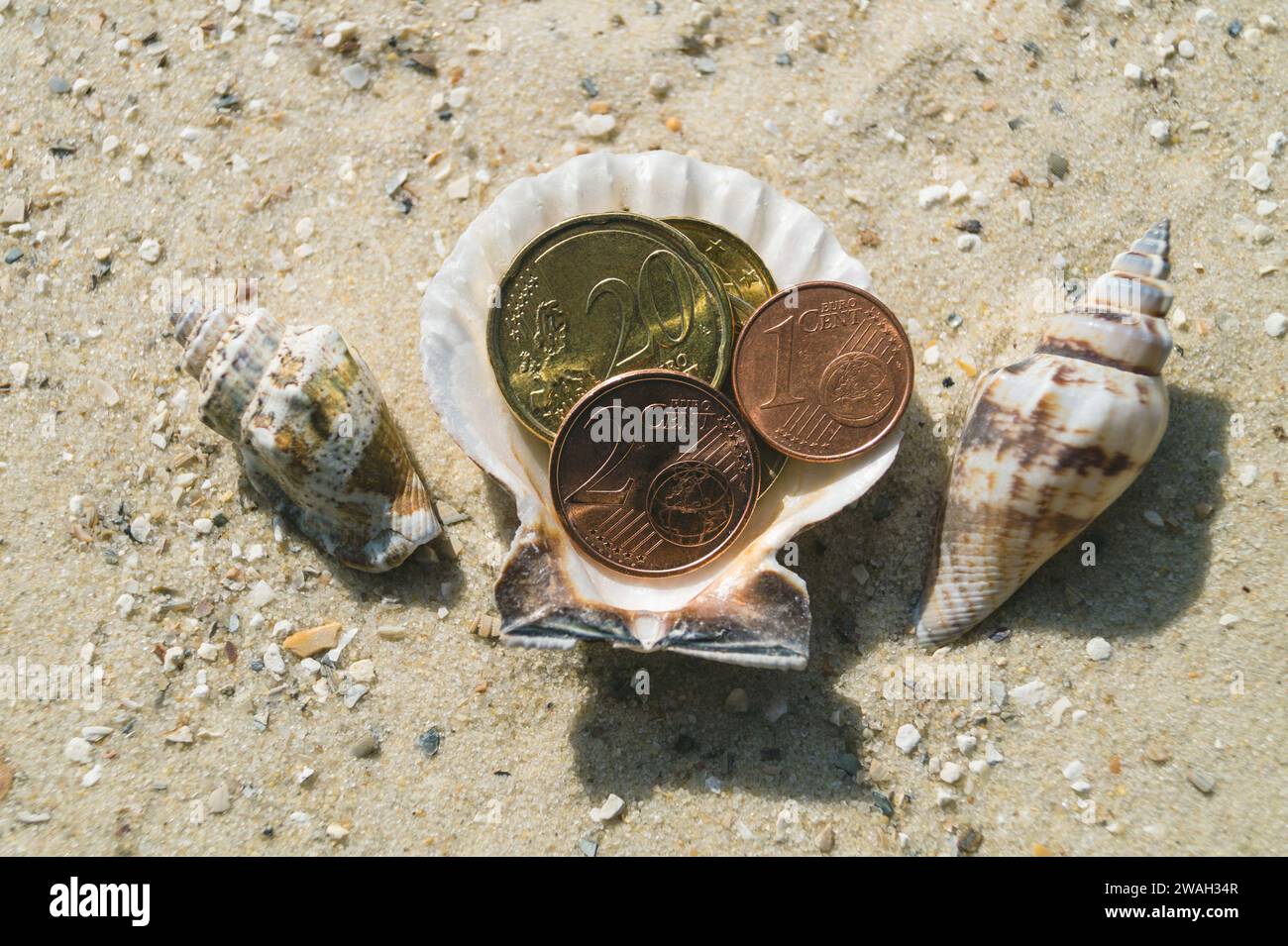 money and shells in the sand, symbol image travel expenses Stock Photo ...