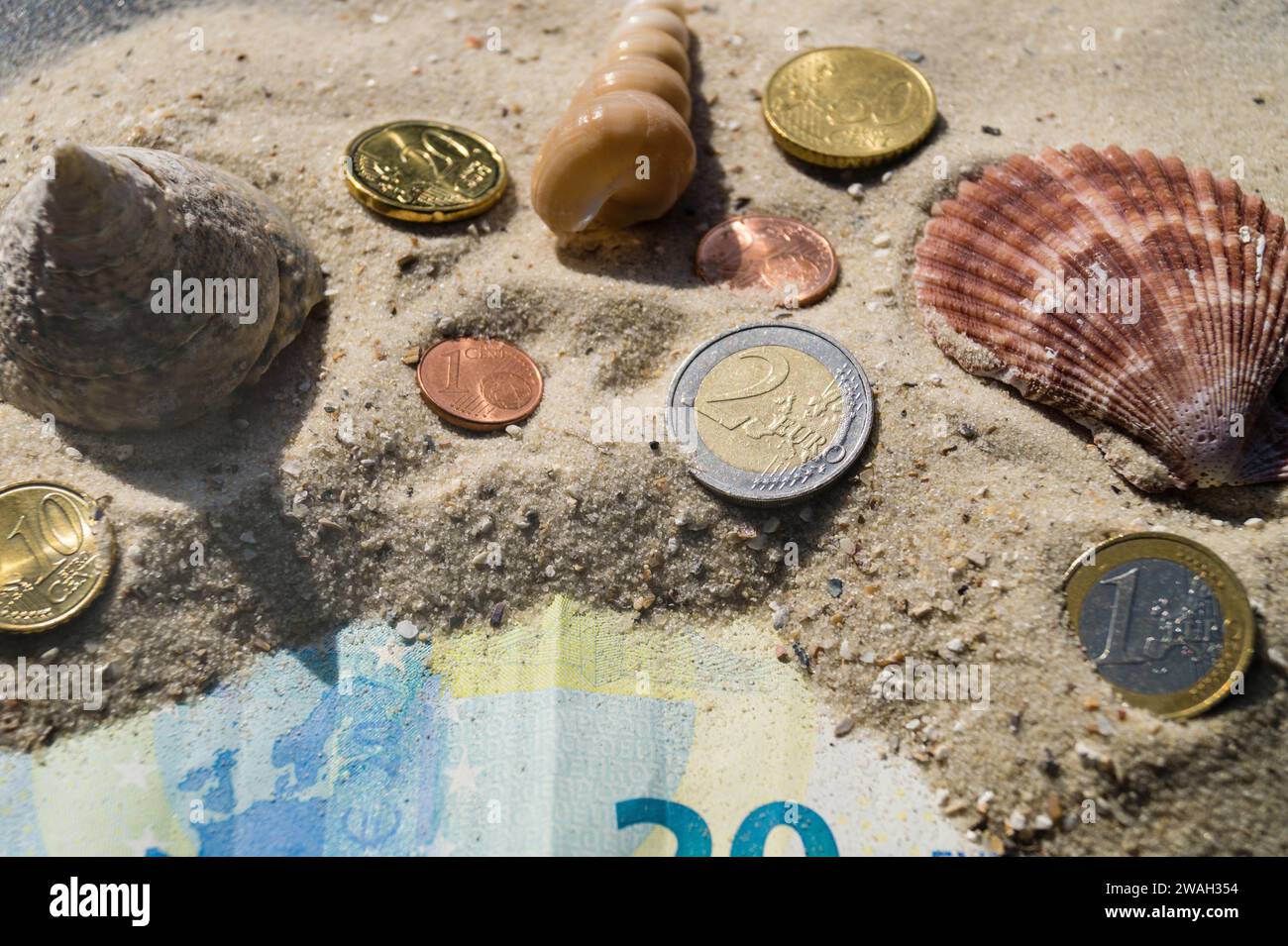 money and shells on the beach, symbol image travel expenses Stock Photo ...