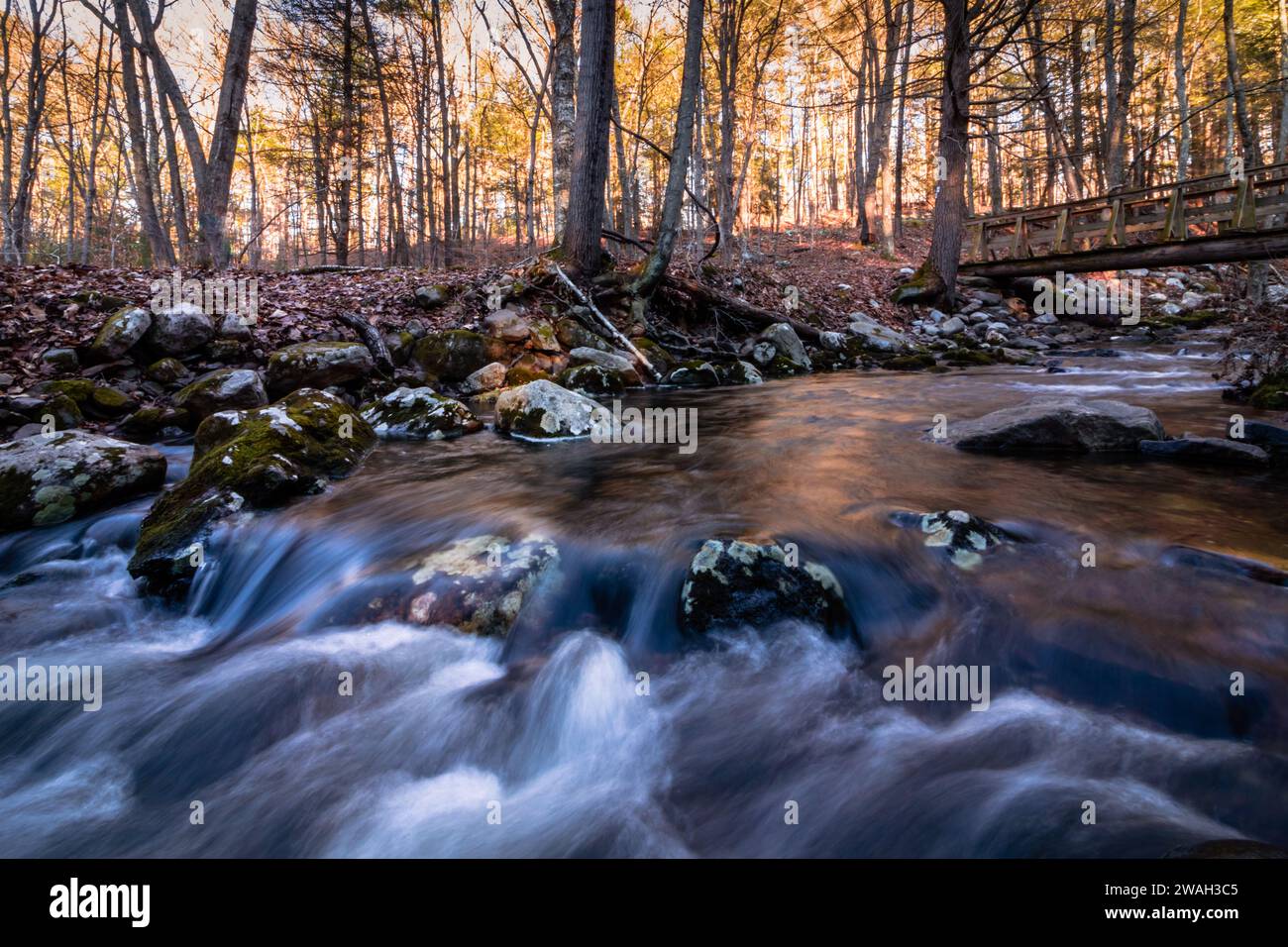 Stokes State Forest in Sussex County, NJ, a footbridge over Flatbrook ...