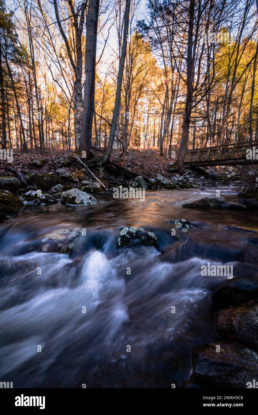 Stokes State Forest in Sussex County, NJ, Flatbrook runs along the Blue ...